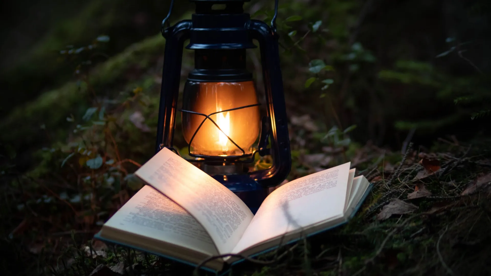 On vous conseille 5 revisites modernes des contes de fées - RTBF Actus