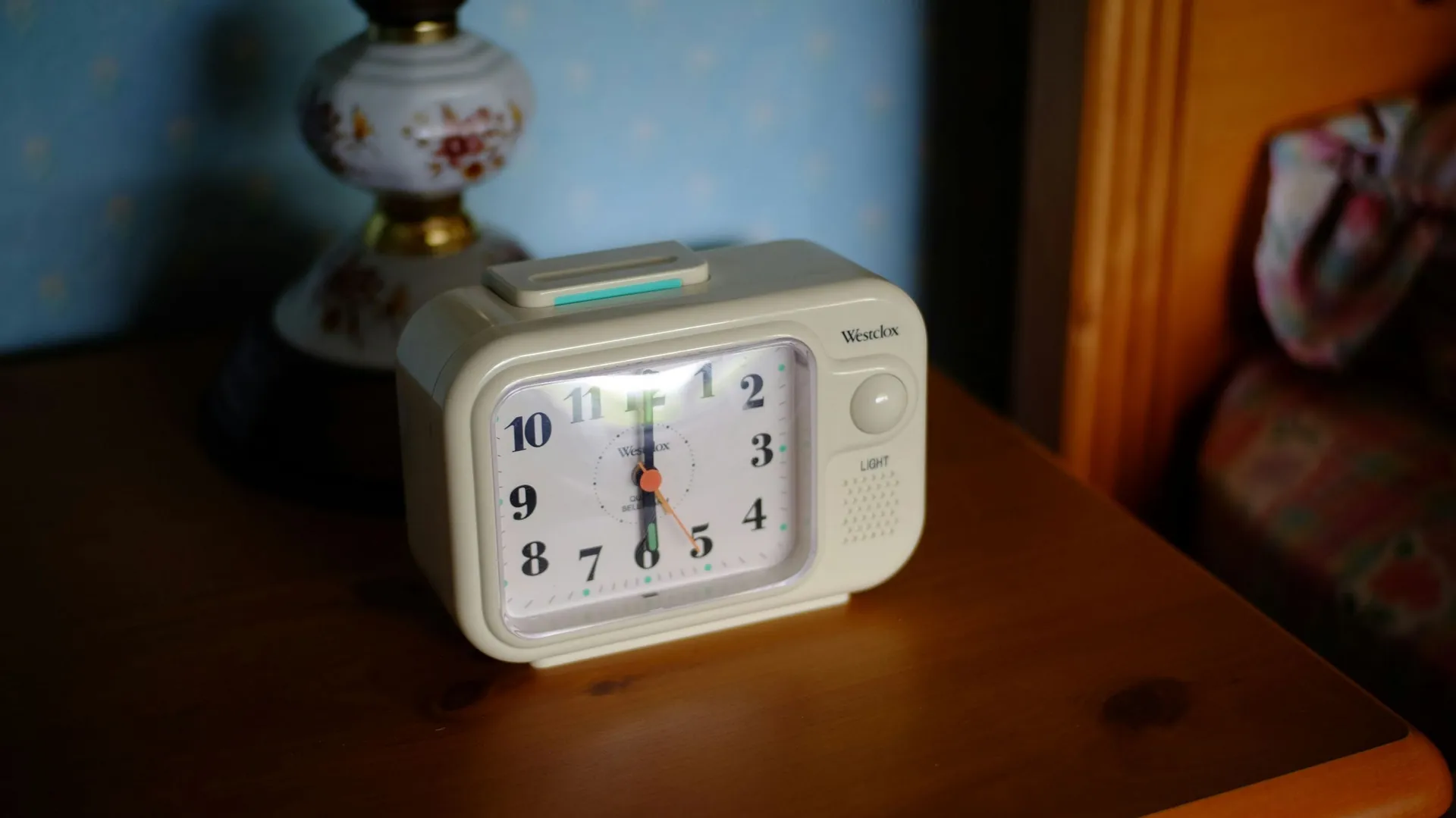 Dormir avec son animal de compagnie : les inconvénients au-dessus des ...