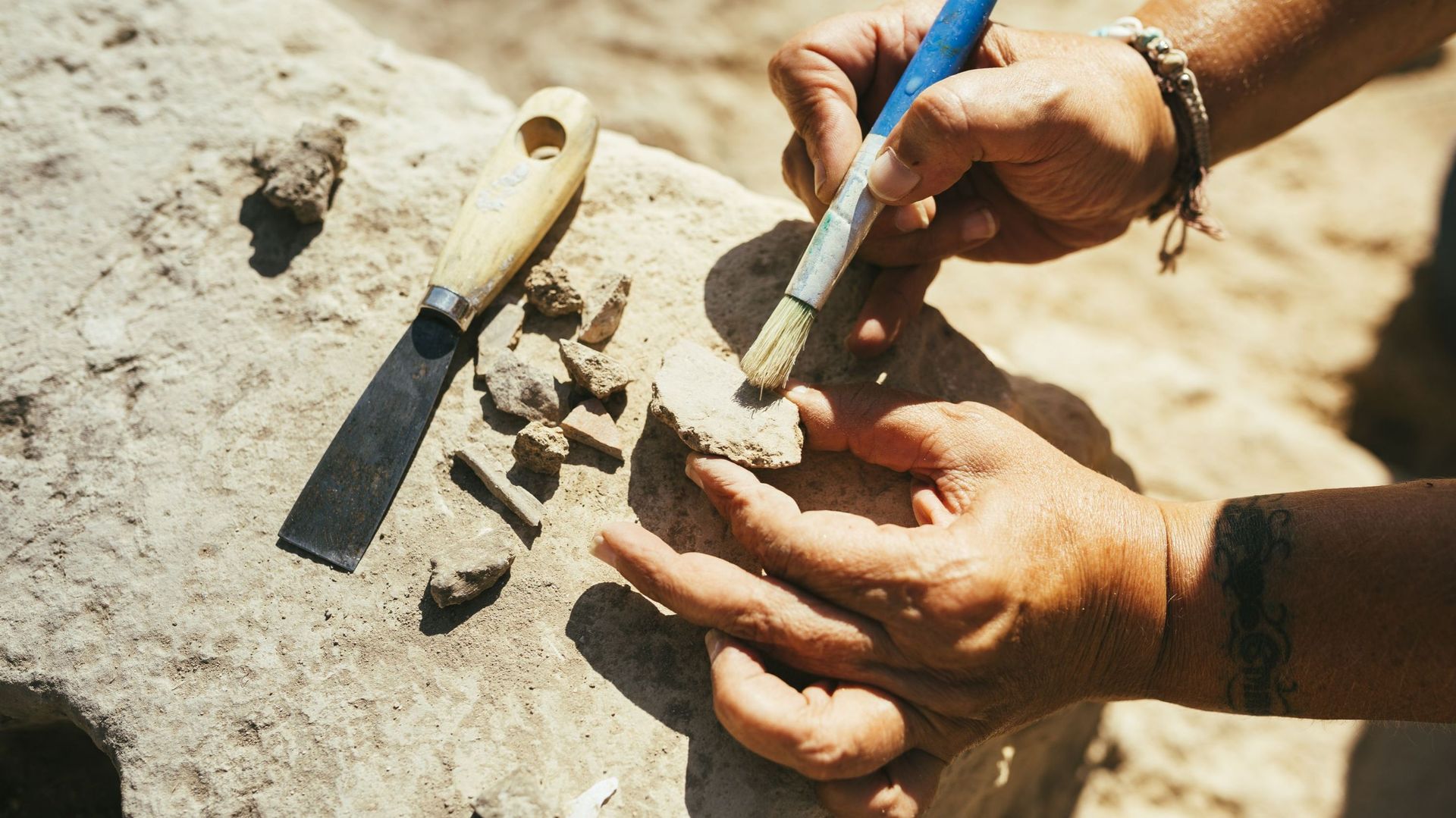 Archéologie : découverte fortuite à Heusden-Zolder (province du ...