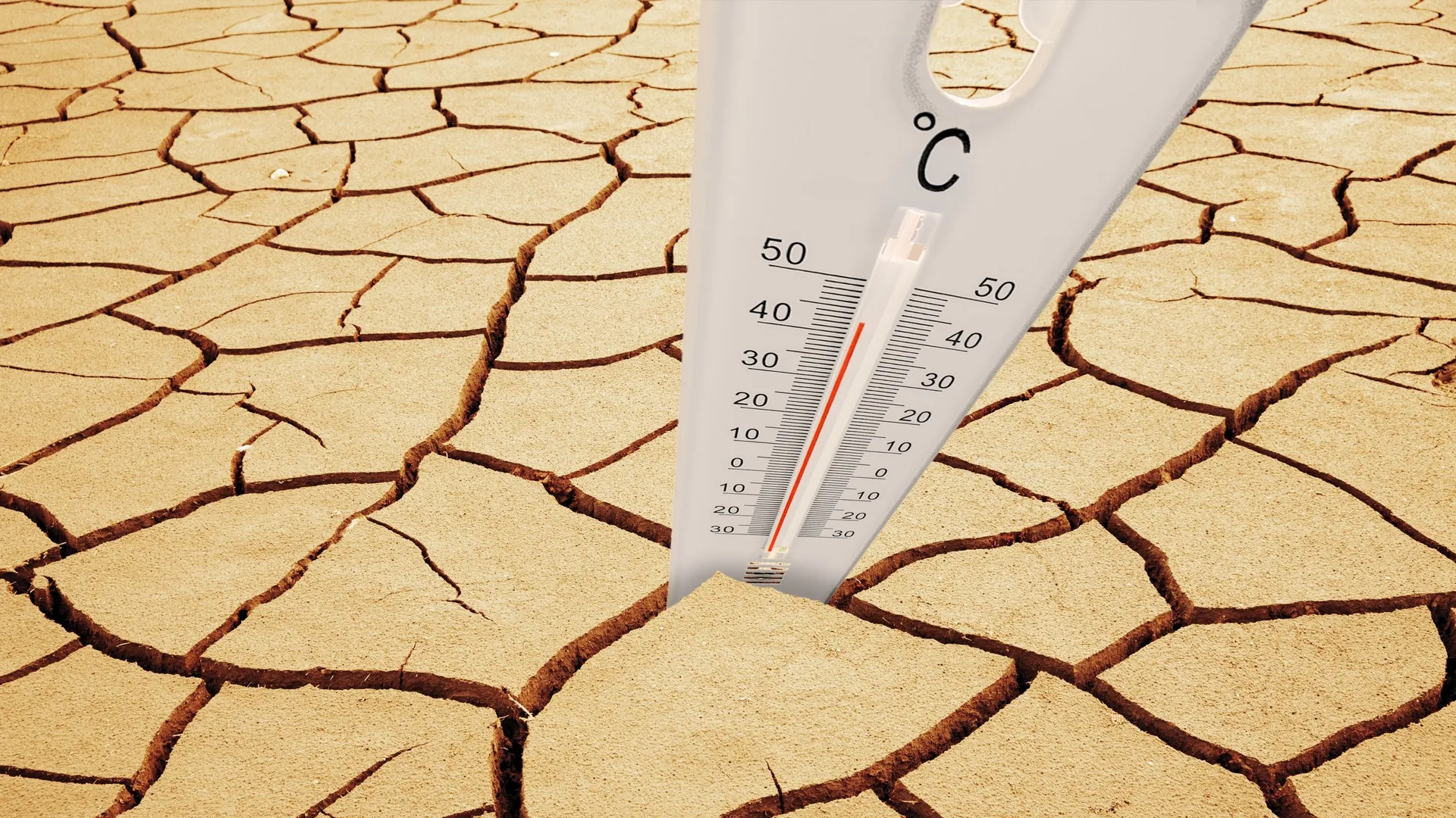 Réchauffement climatique : quel impact sur notre santé ? - RTBF Actus