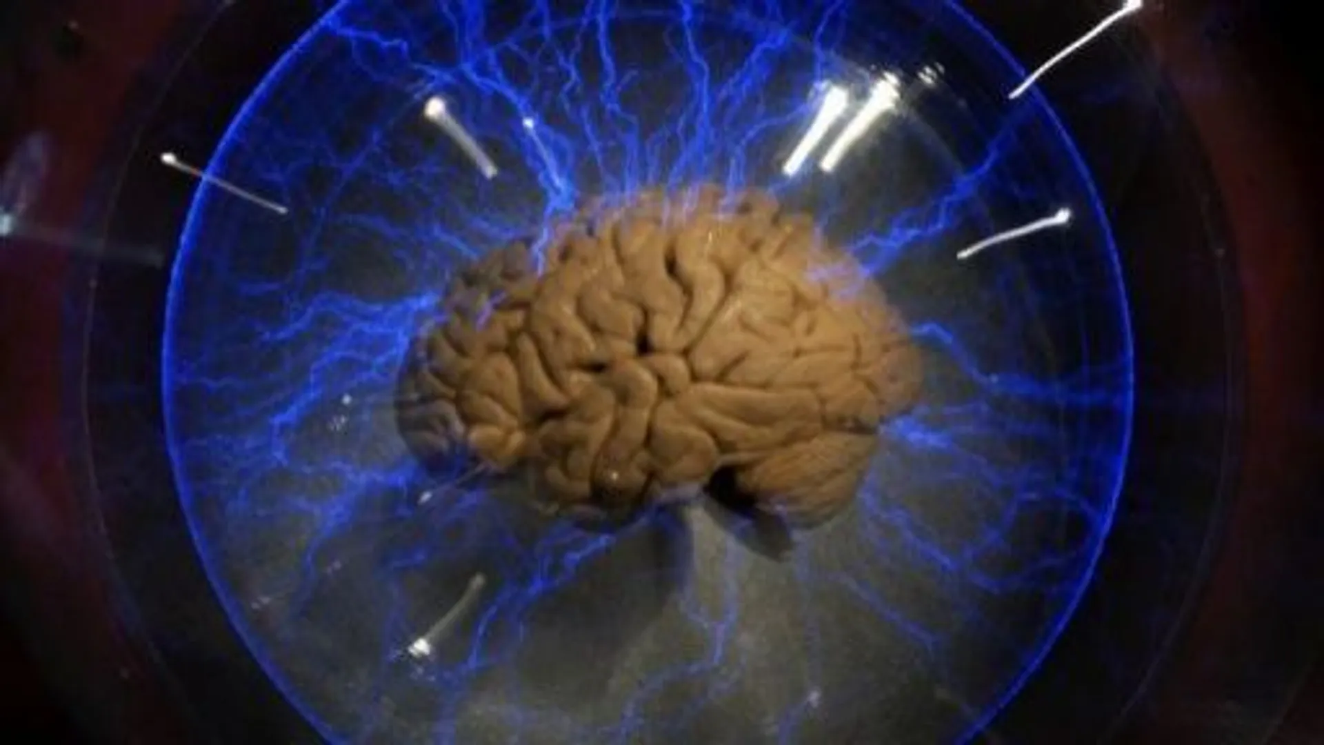 Transhumanisme : améliorer l'homme ou le remplacer par des cyborgs ...