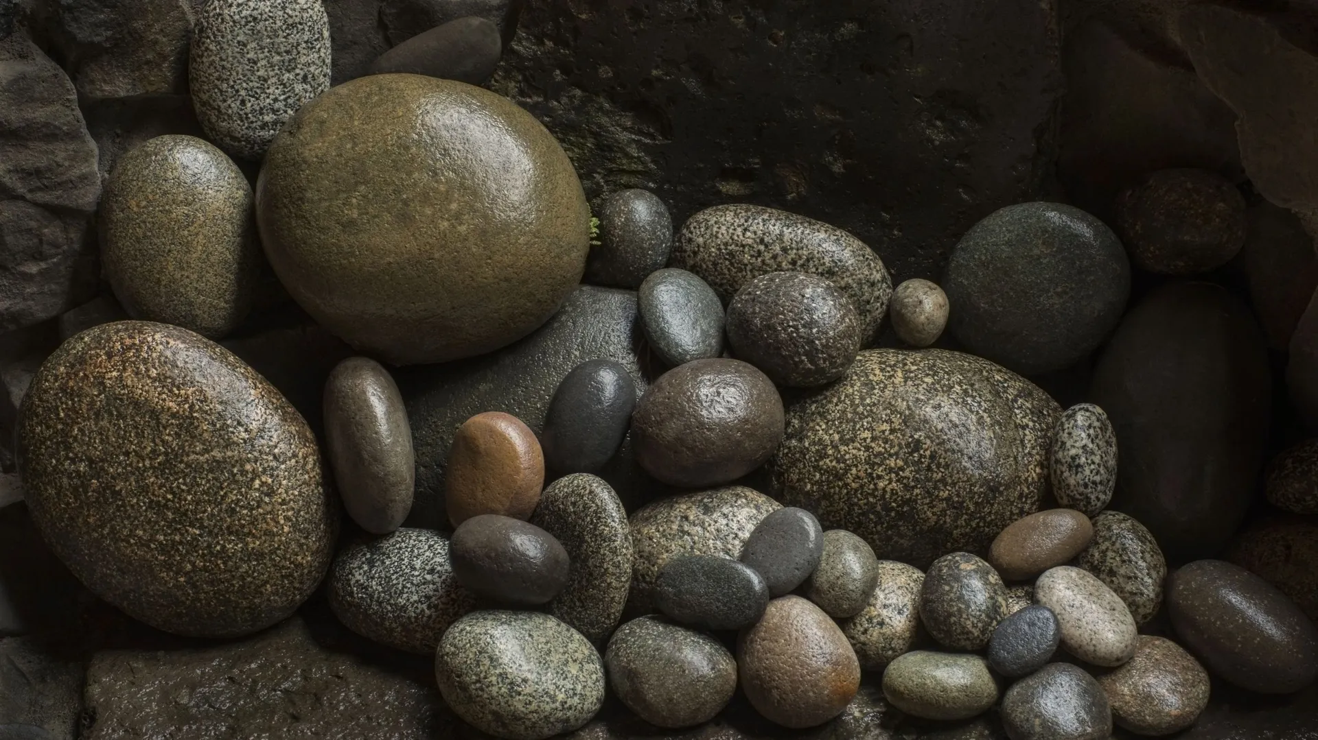La minute insolite : ce musée japonais collectionne des cailloux qui ...