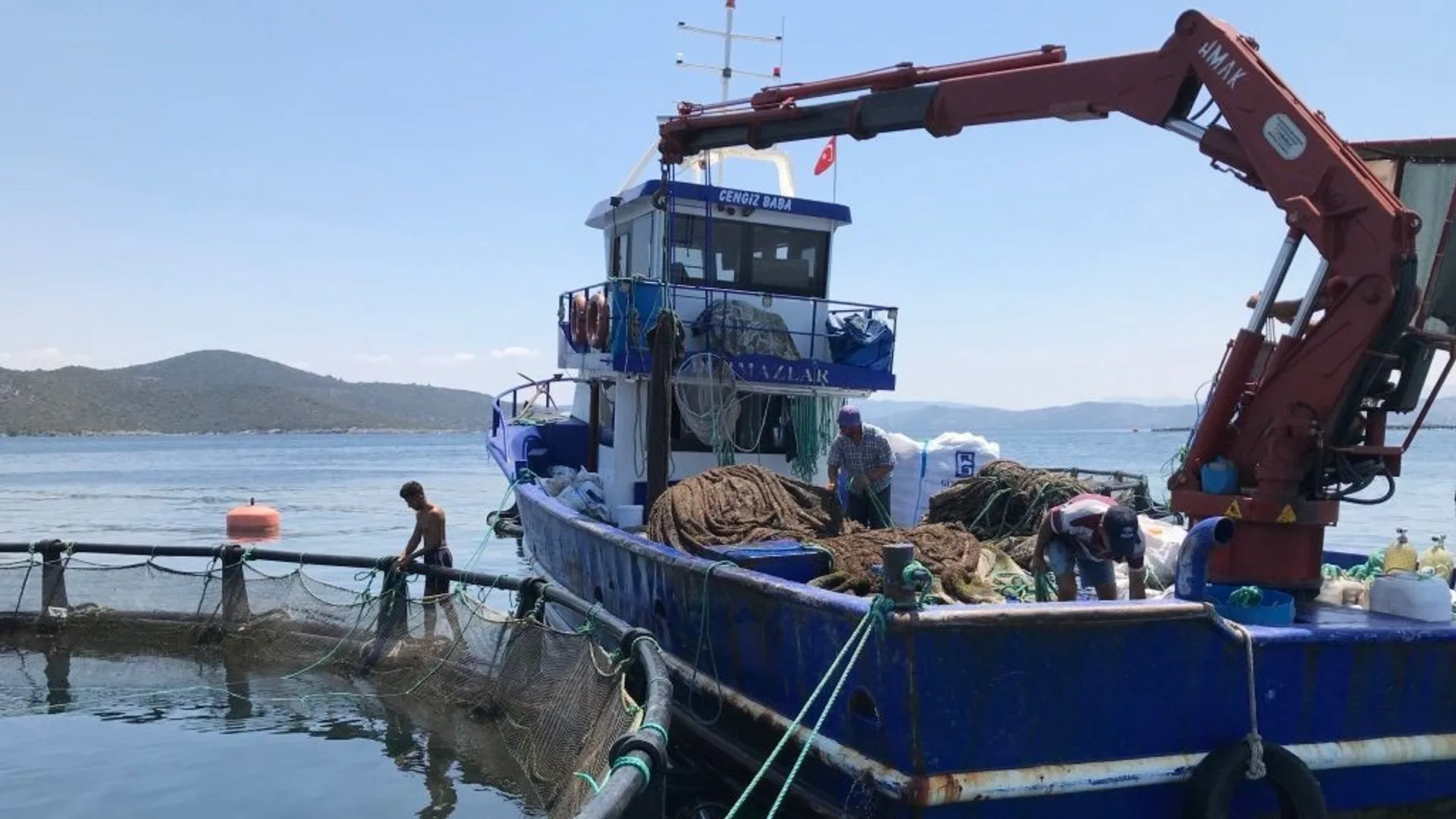 Une start-up liégeoise développe un vaccin ARN contre le pou du saumon ...