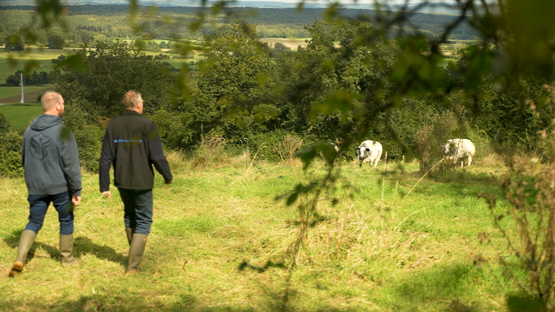 Découvrez où se trouve la plus belle prairie de Wallonie - RTBF Actus