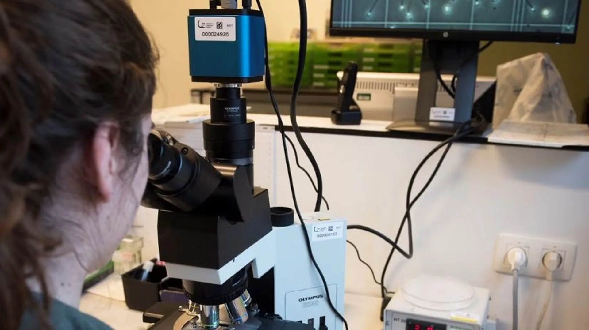 Le roi Philippe répond aux questions que les citoyens lui ont adressées ...