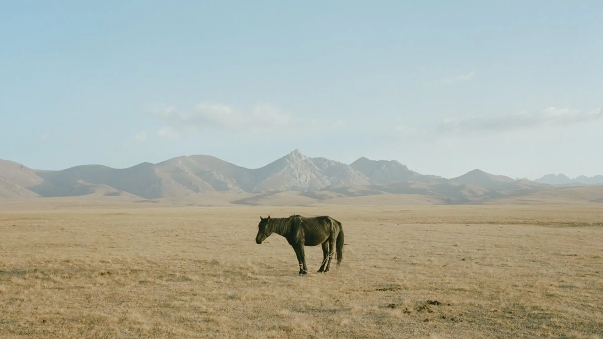 Jeanloup Sieff, les années lumière - RTBF Actus
