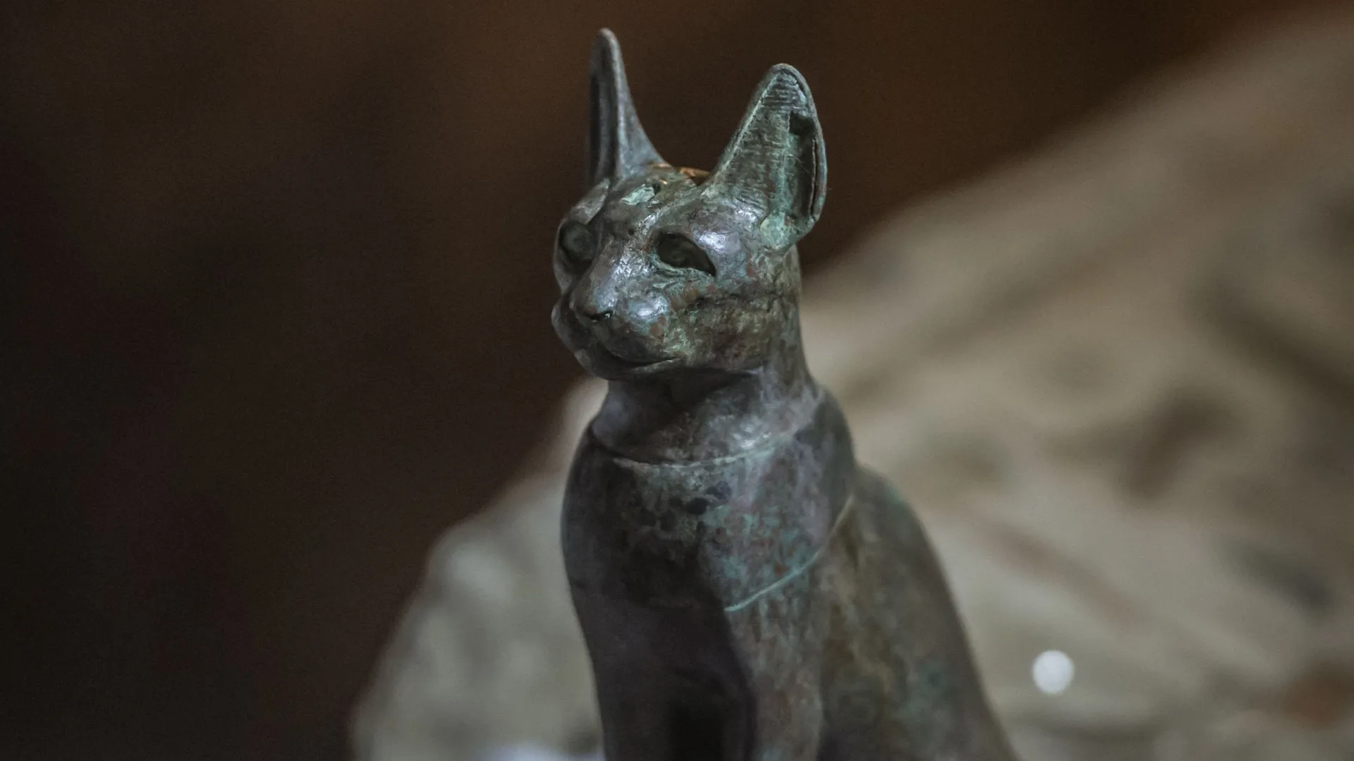 Pourquoi les chats étaient vénérés en Egypte ancienne ? - RTBF Actus