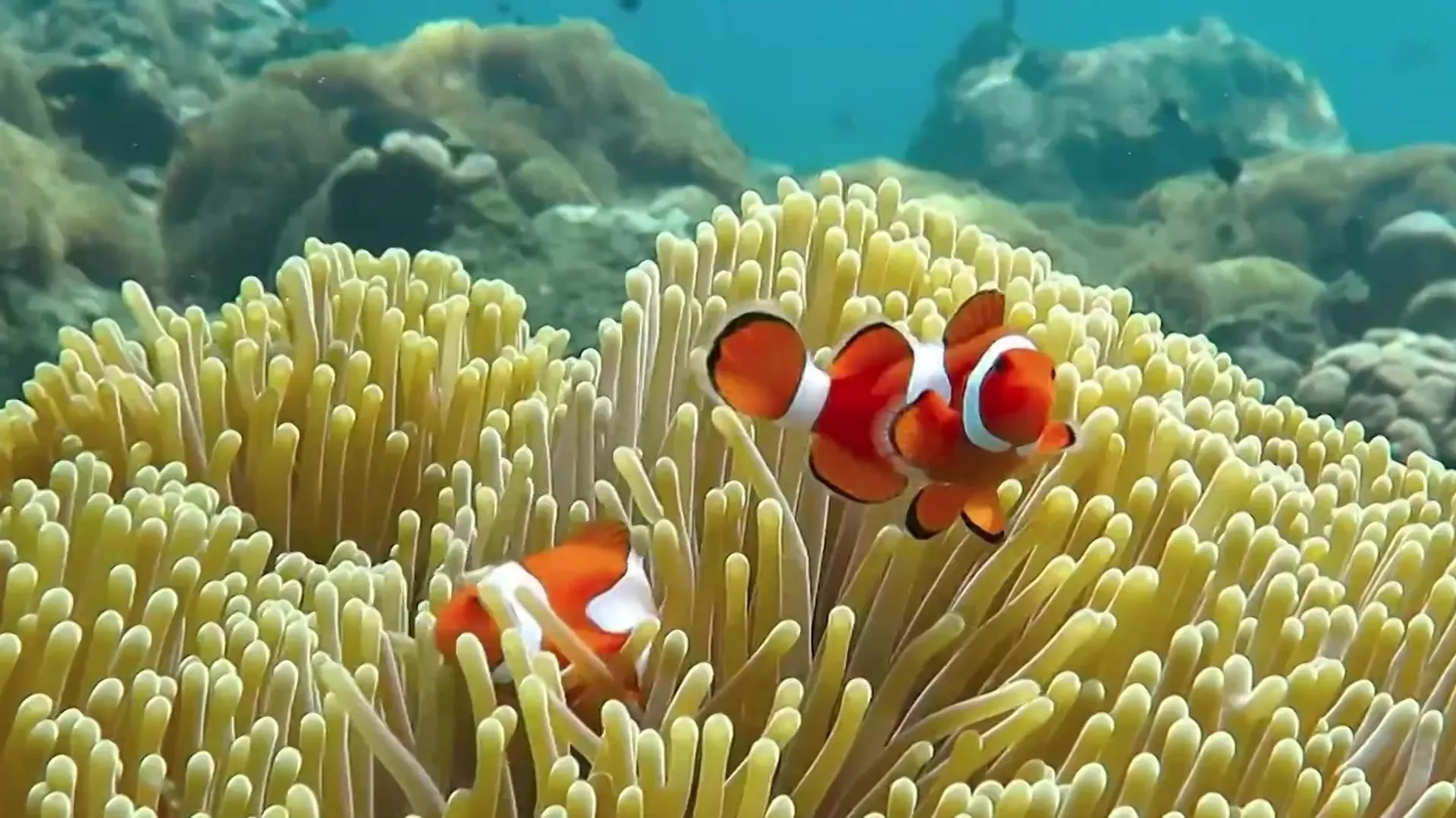 Élévation du niveau de la mer : des outils pour mieux comprendre si la ...