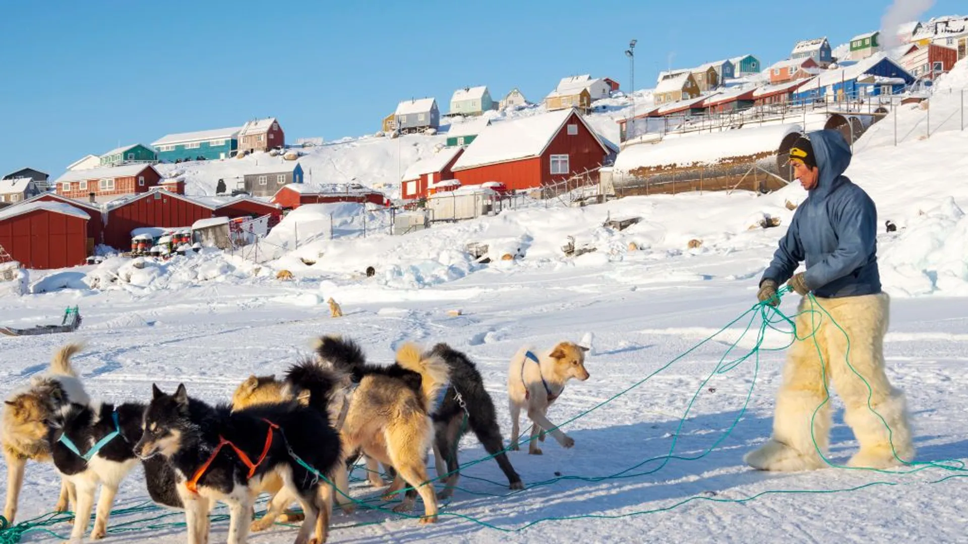 Le traumatisme des Inuits du Groenland : colonisation, stérilisation ...
