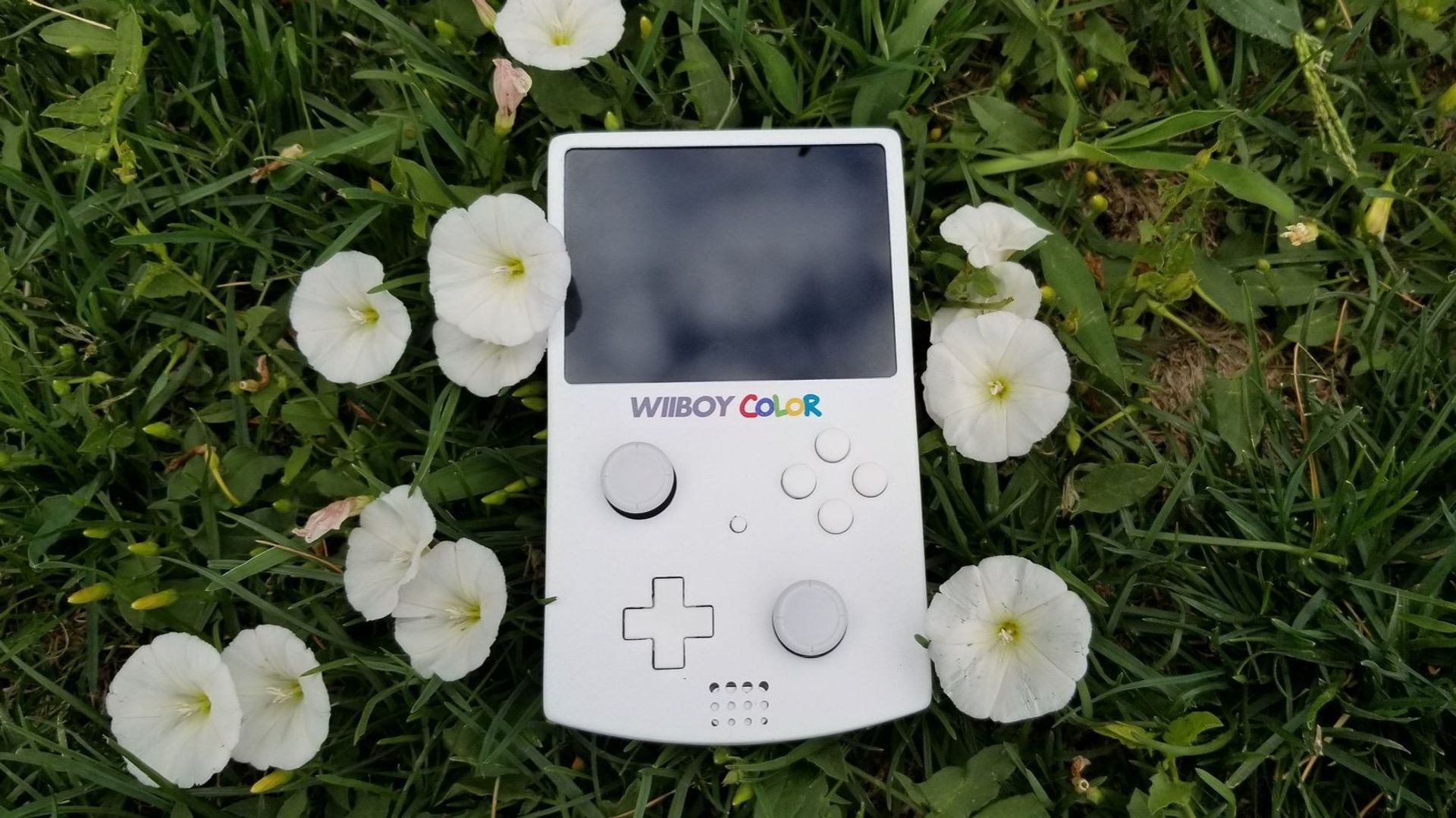 Un internaute crée une Wii portable de la taille d’une Game Boy Color ...