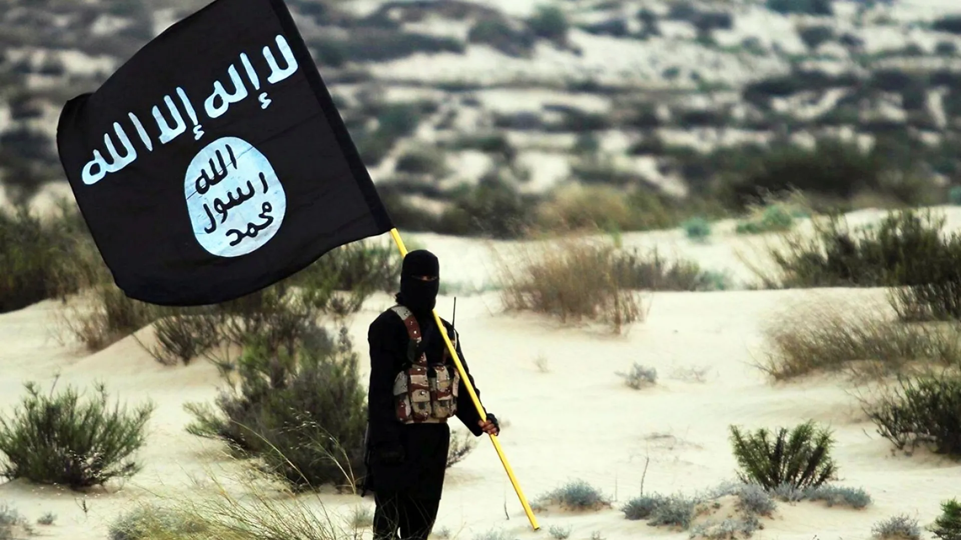 Daesh, ce n’est pas fini ! Comme la Coalition internationale, la ...