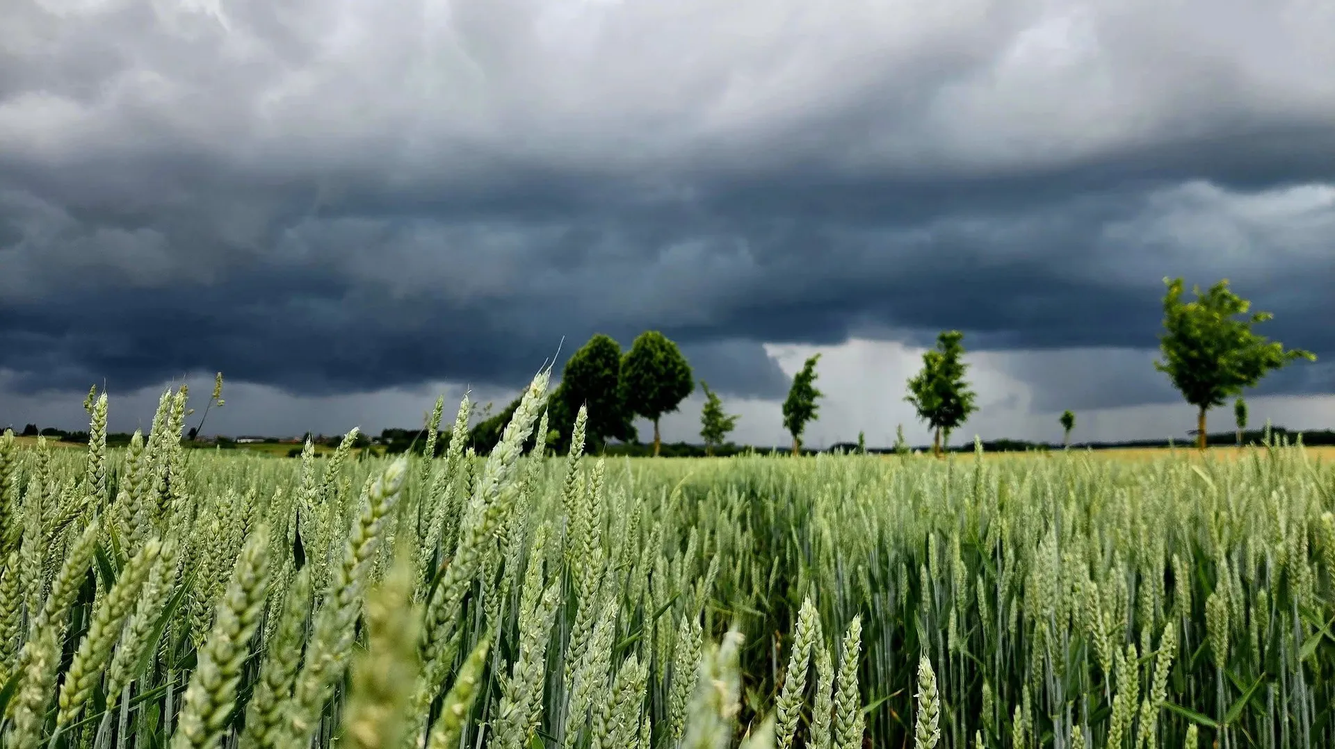 Météo Belgique - RTBF Actus