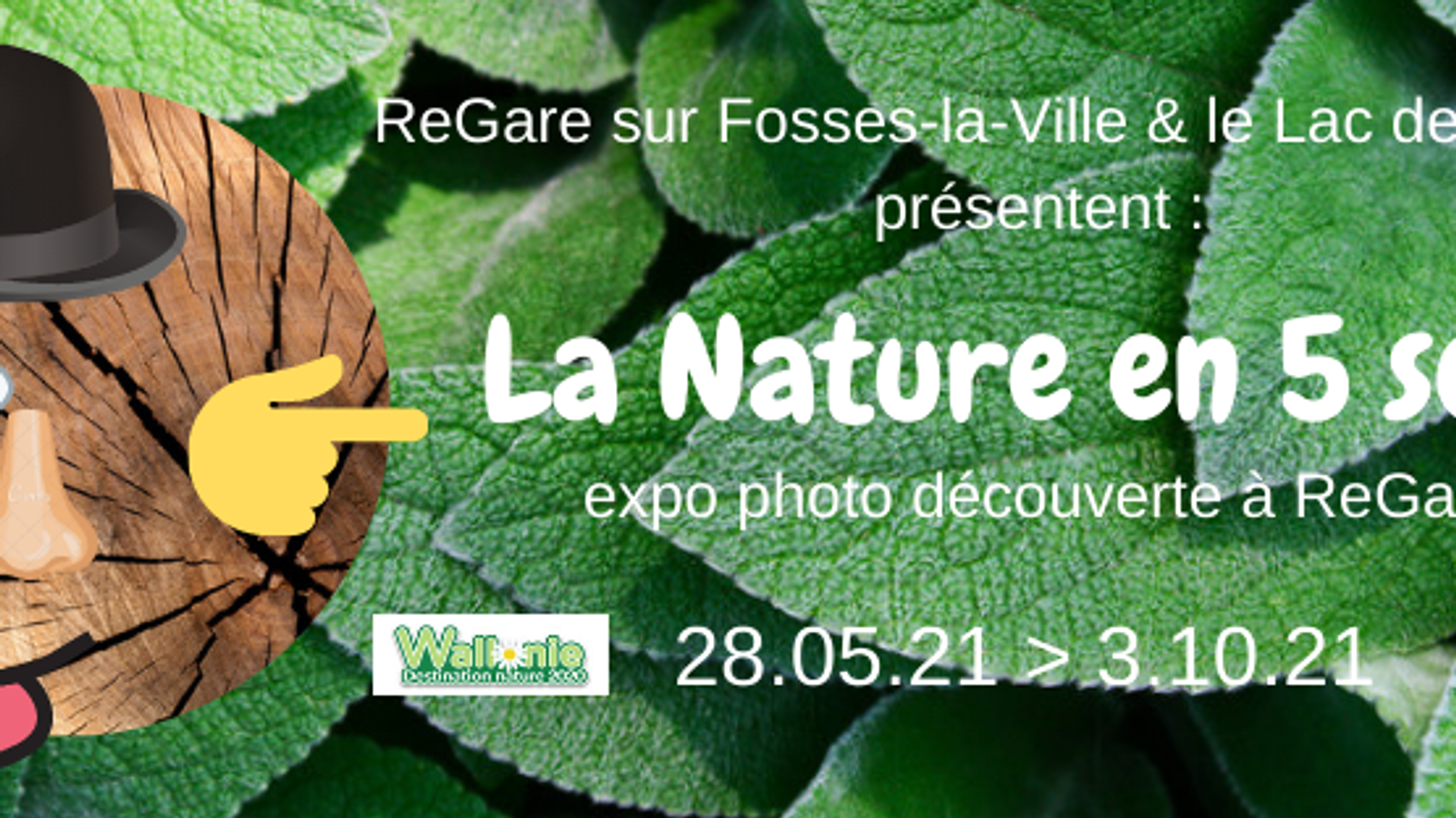 La Nature en 5 sens à ReGare sur Fosses-la-Ville et au Lac de Bambois ...