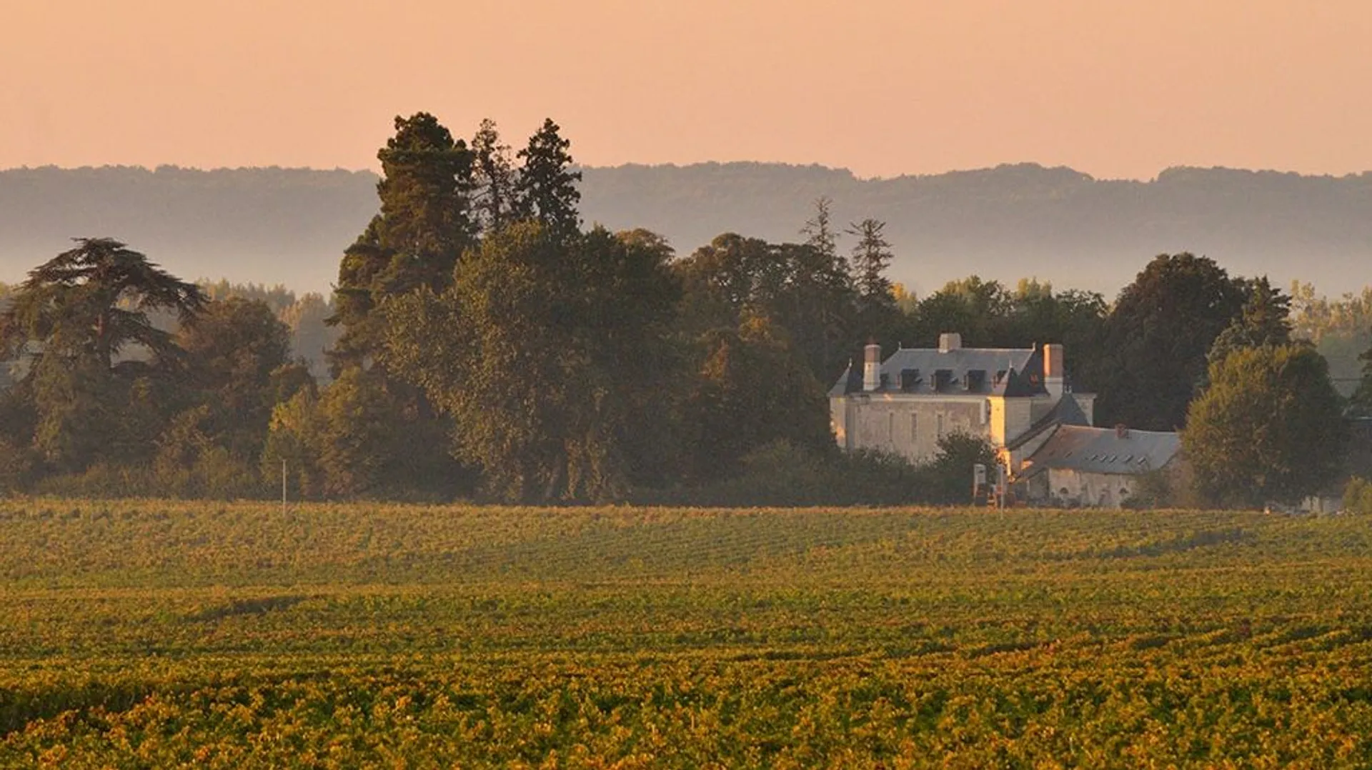 Kathleen Van den Berghe, une reconversion pour l’amour de l’art et du ...