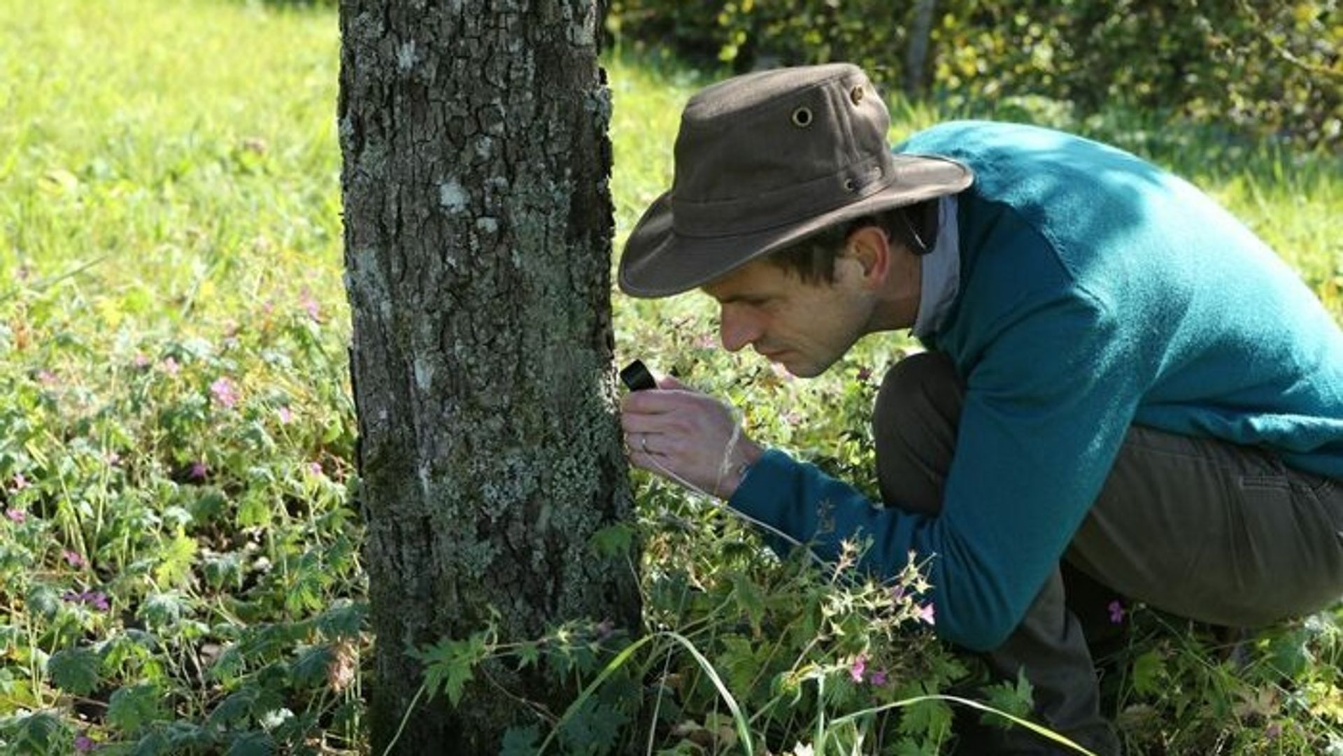 Michel Fautsch capture l’évolution de la nature pour éveiller les ...
