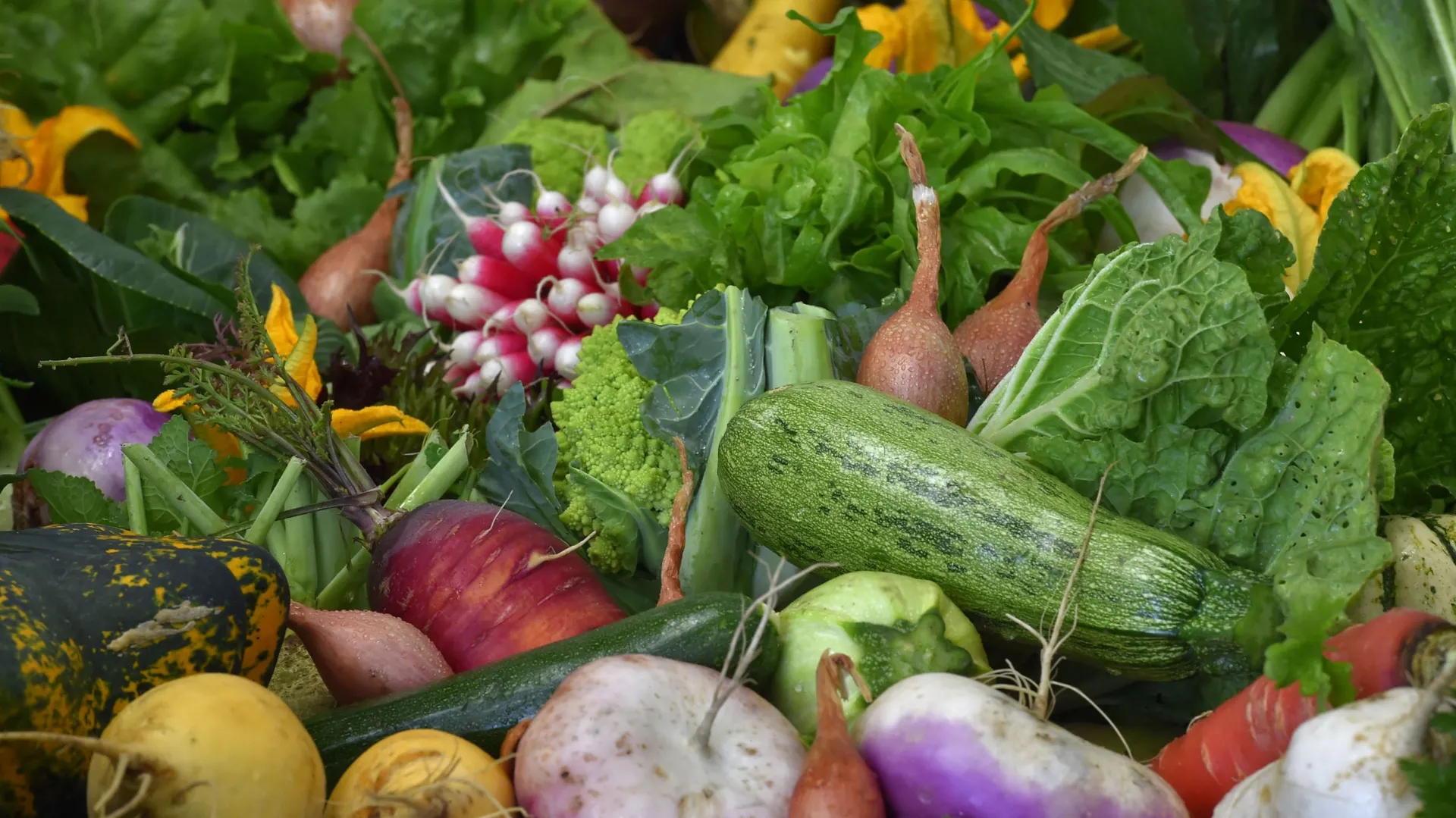 Cycle en Terre: la jeune pousse belge, alternative à Monsanto - RTBF Actus