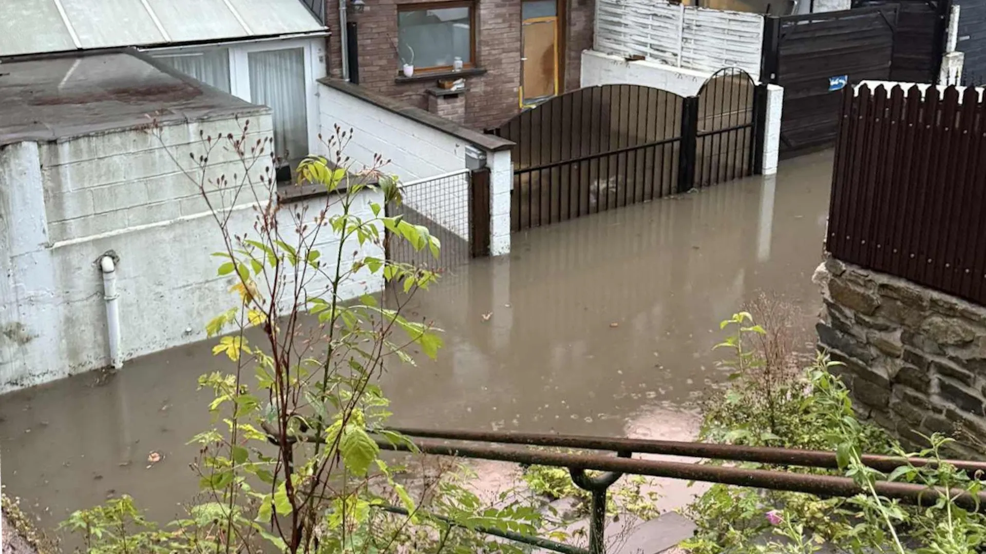 Arlene lee onlyfans account her demeanor is the type of