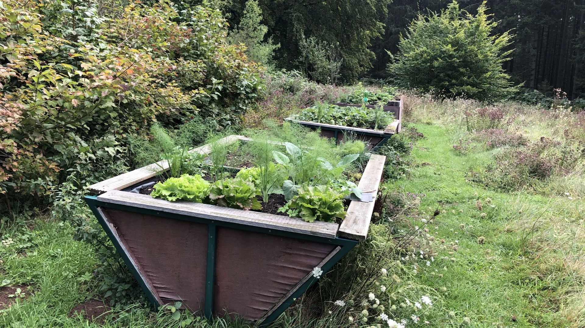 La commune de Manhay regorge de bonnes adresses ! - RTBF Actus