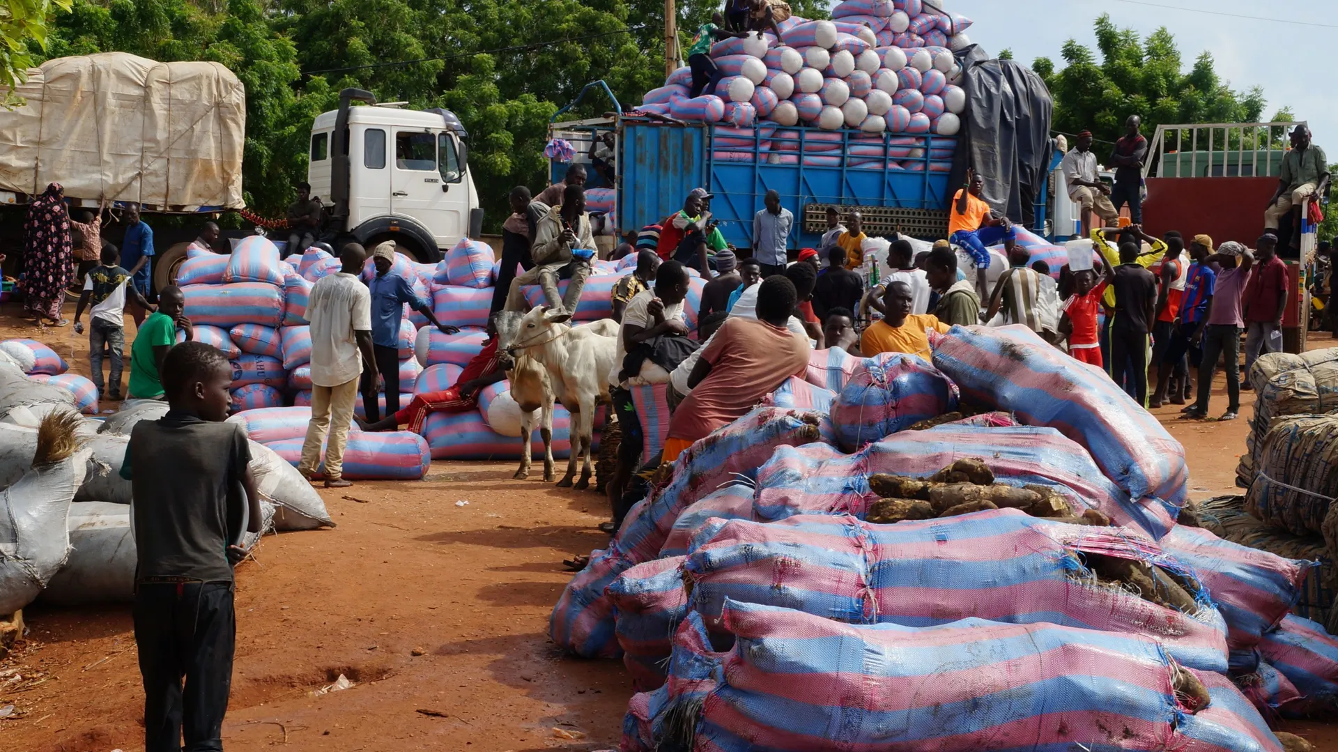 La Russie accentue son influence en Afrique et envoie des instructeurs ...