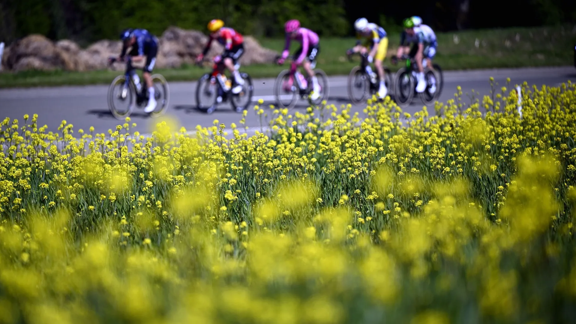 Tour de Belgique : trois Belges en embuscade avant la dernière étape à ...
