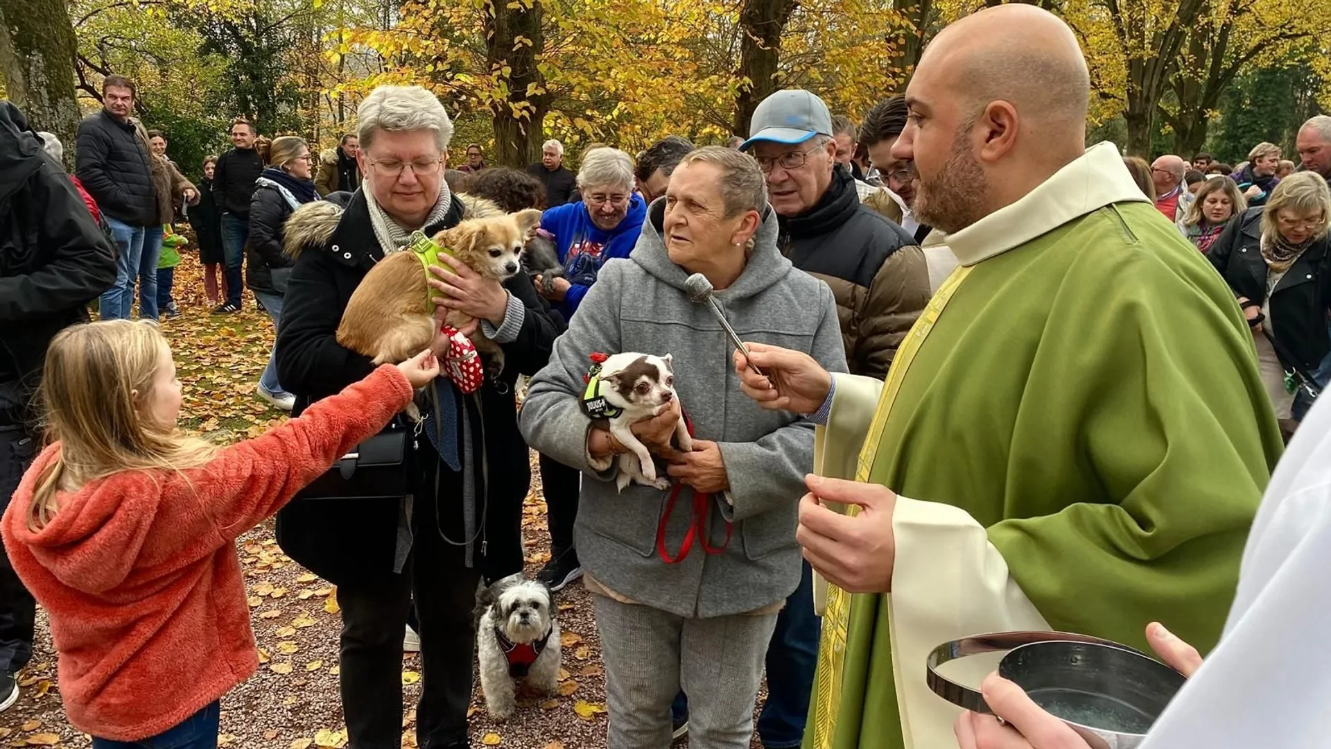 Ham-Sur-Heure : des dizaines de chiens et de chevaux bénis lors de la ...