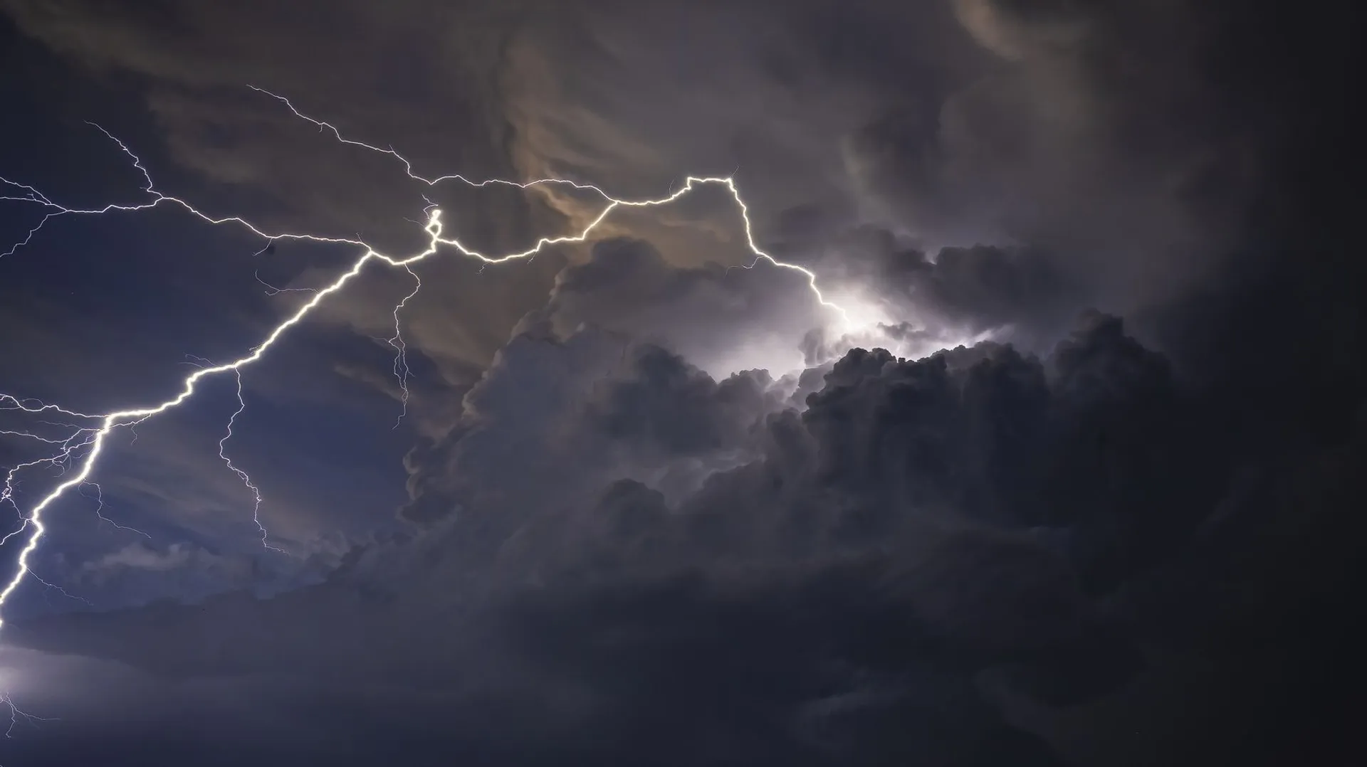 Afrique du Sud : neuf morts dans une fusillade près de Johannesburg, le mobile reste inconnu ...