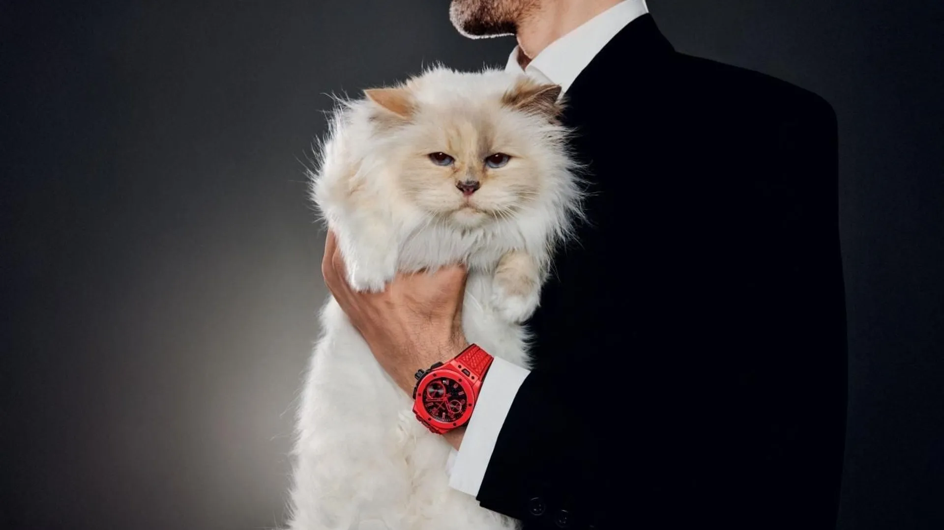 'Je suis choquée' : Joyce Jonathan cible de moqueries après une photo en bikini - RTBF Actus