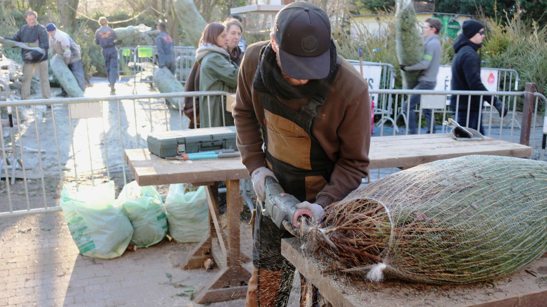 Des sapins de Noël solidaires pour plus d’inclusion des personnes ...