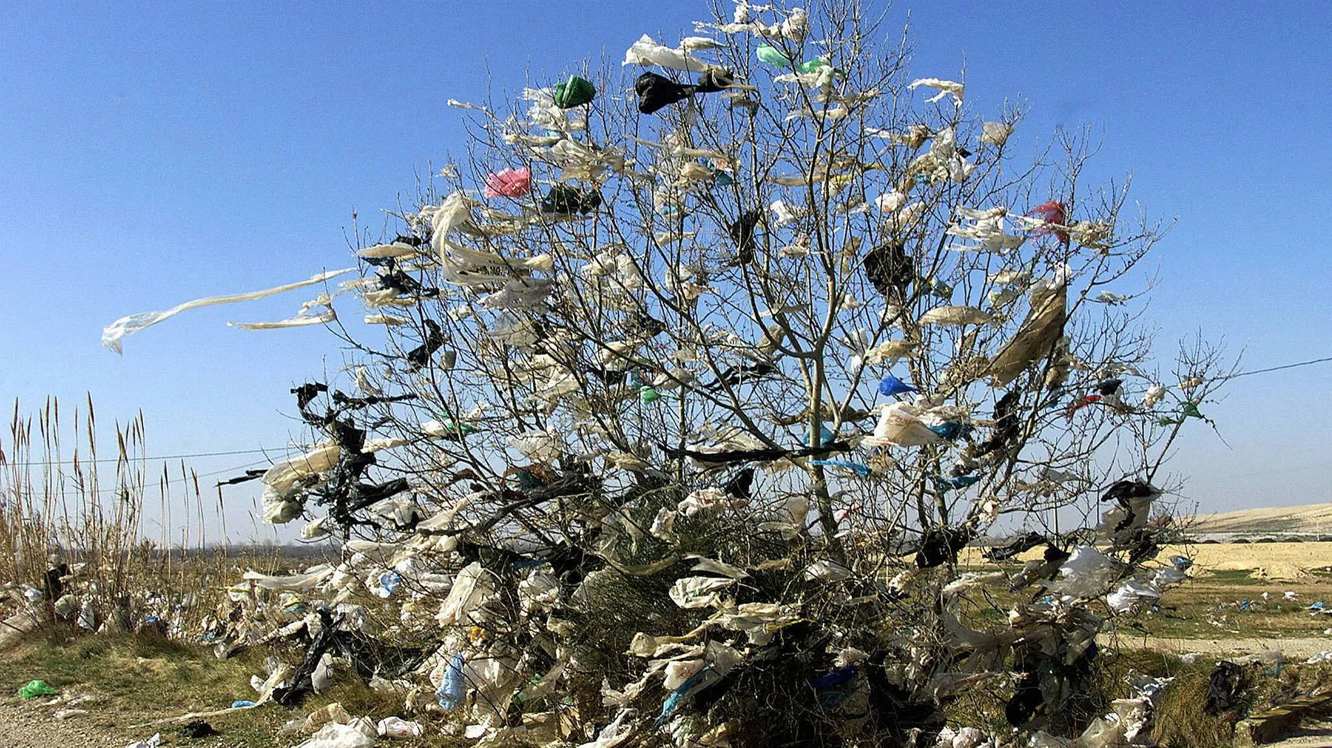 De nombreux microplastiques dans les fleuves européens : une nouvelle étude détaille cette ...