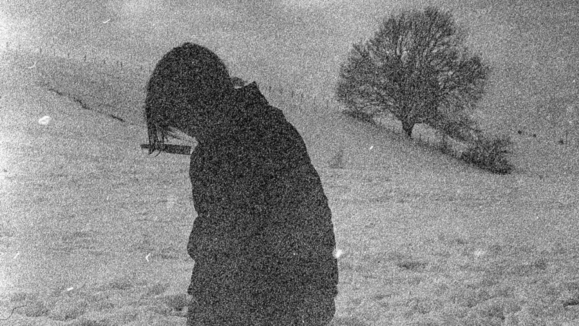 Zao Wou-Ki : l’abstraction lyrique du maître franco-chinois exposée à ...