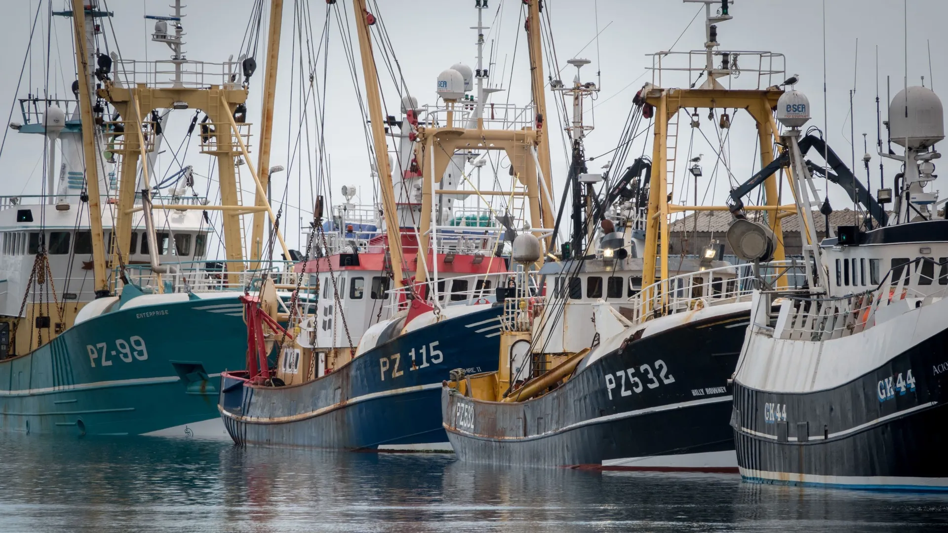 Que signifie vraiment le label MSC sur les étiquettes de poisson ...