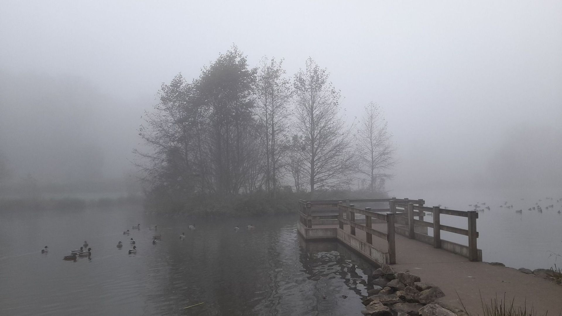 Météo en Belgique : temps gris ce dimanche, accompagné de brouillard et ...