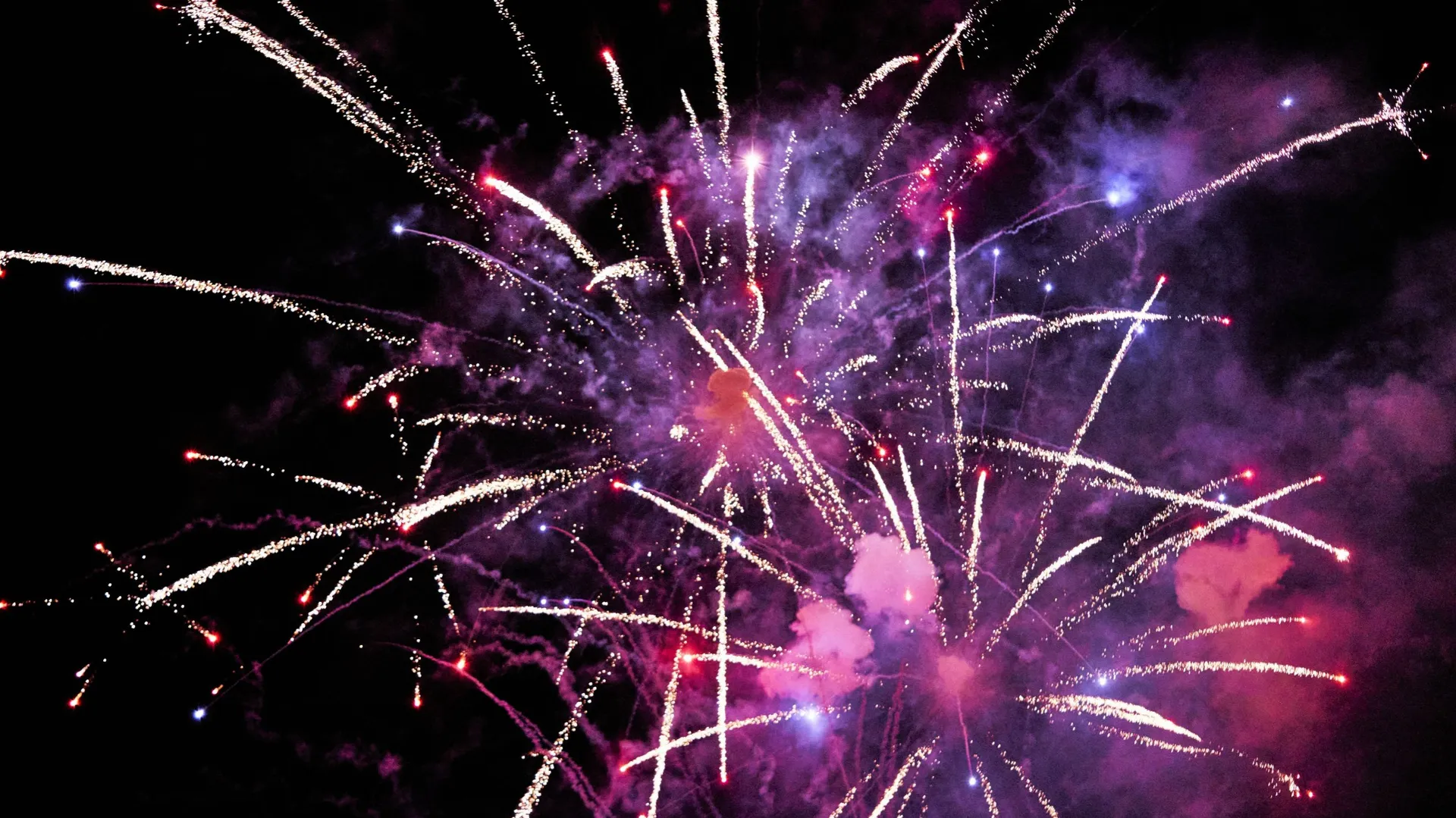 Le chicon, un légume d’hiver aux nombreux bienfaits pour la santé ...