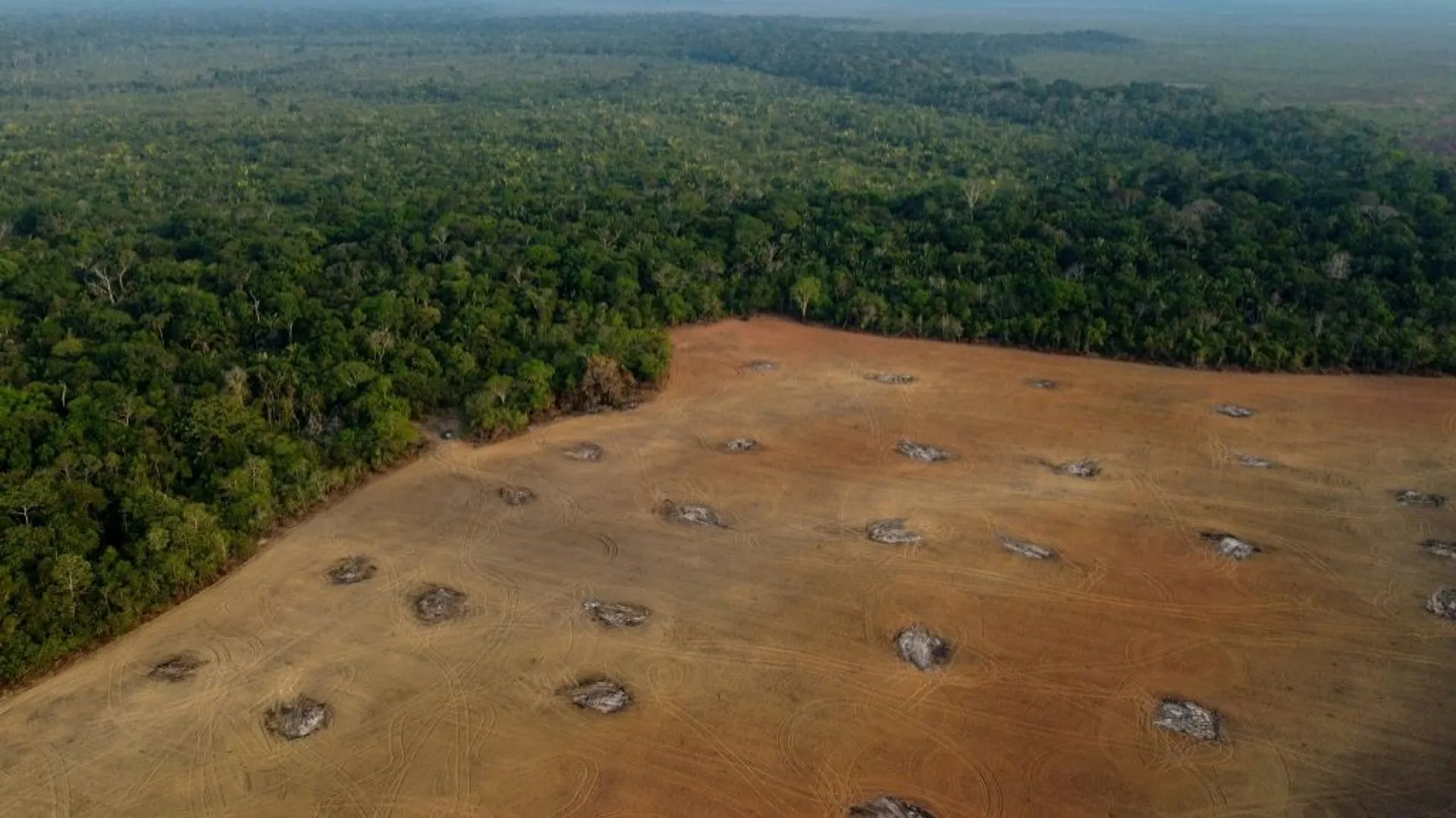 Brésil : la déforestation en Amazonie brésilienne a reculé sur un an ...