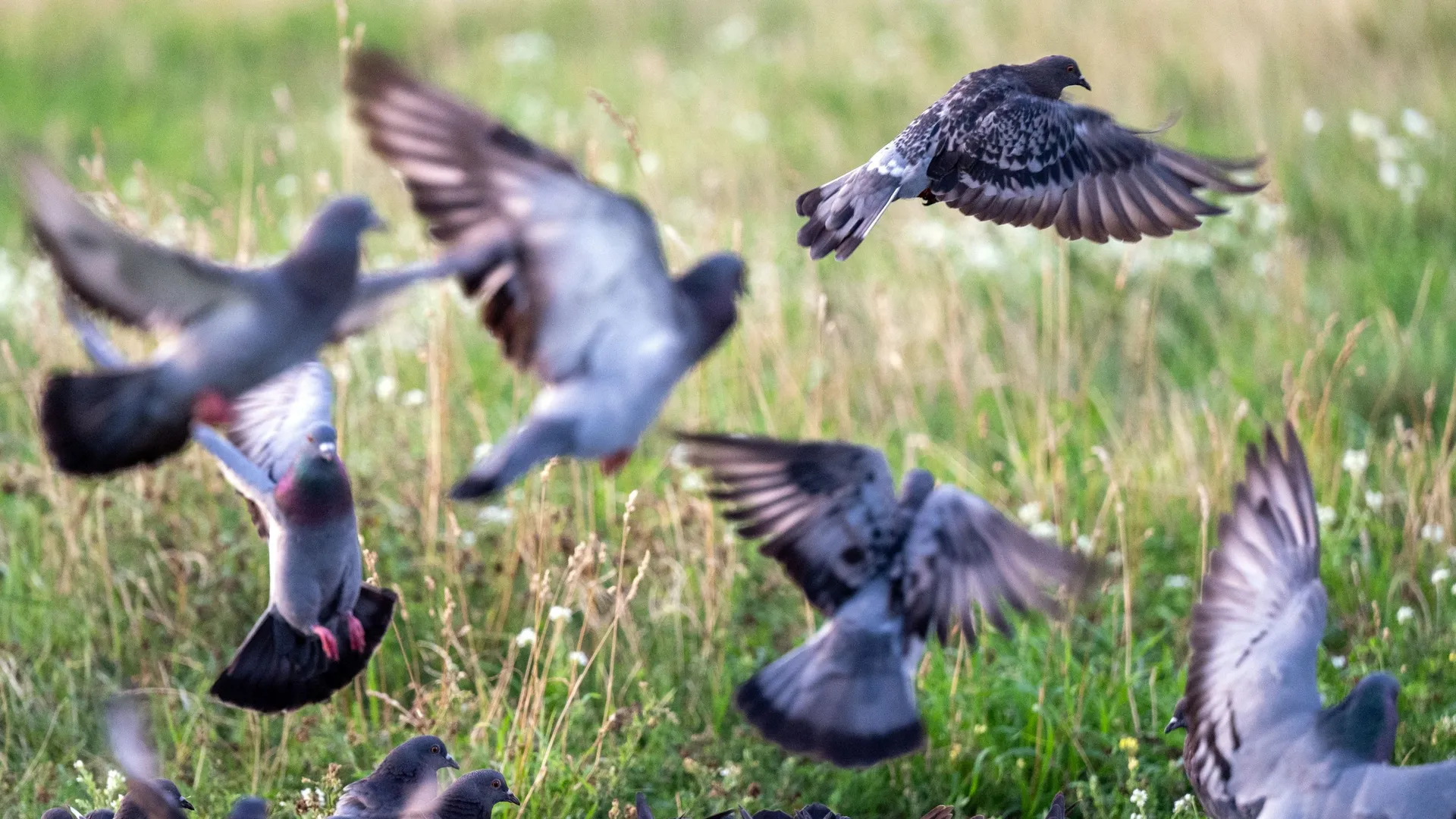 De Byzance à nos tables : l’étonnante histoire de la fourchette, entre ...