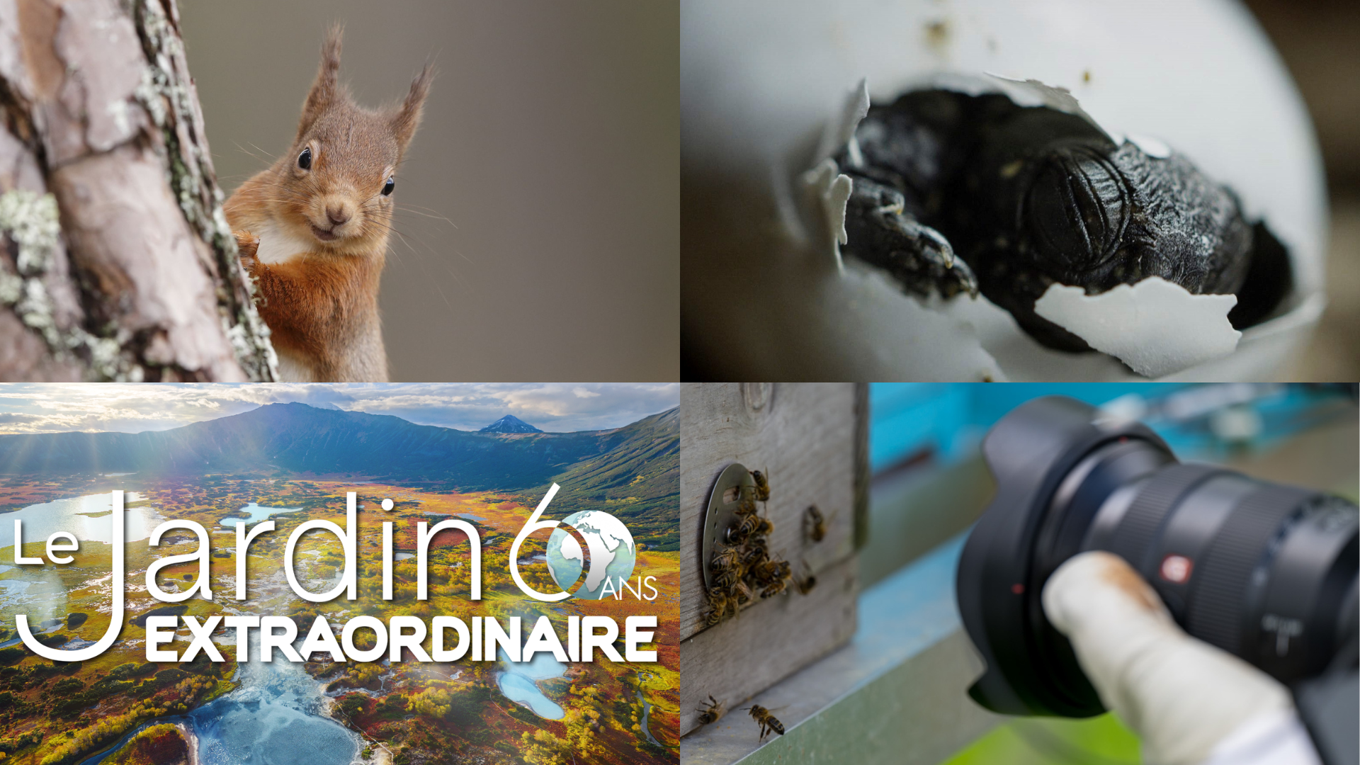 Le livre 'Notre Jardin Extraordinaire, Safaris insoupçonnés près et ...