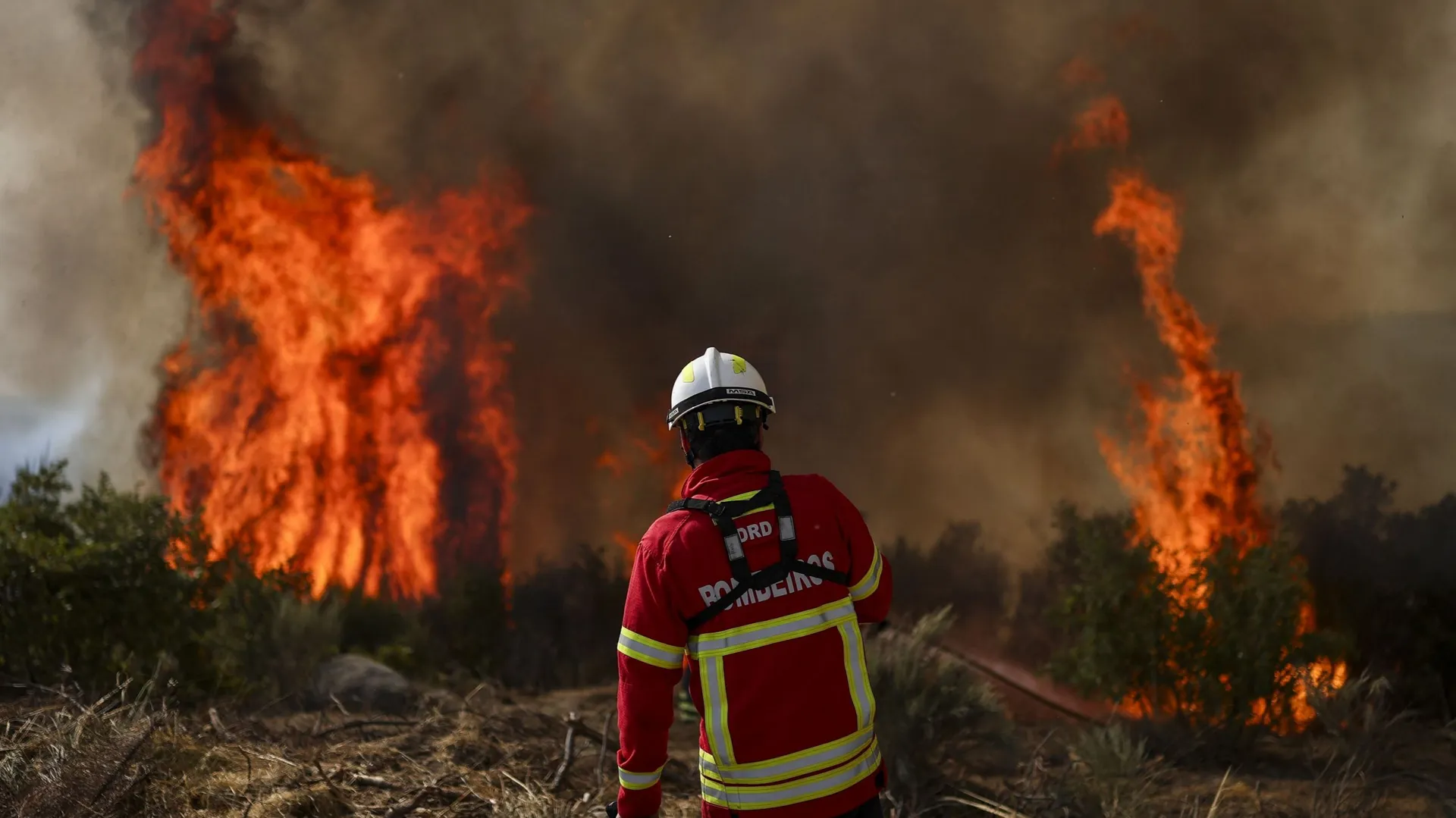 Grèce : plusieurs incendies de forêt sous contrôle, mais le risque reste élevé - RTBF Actus