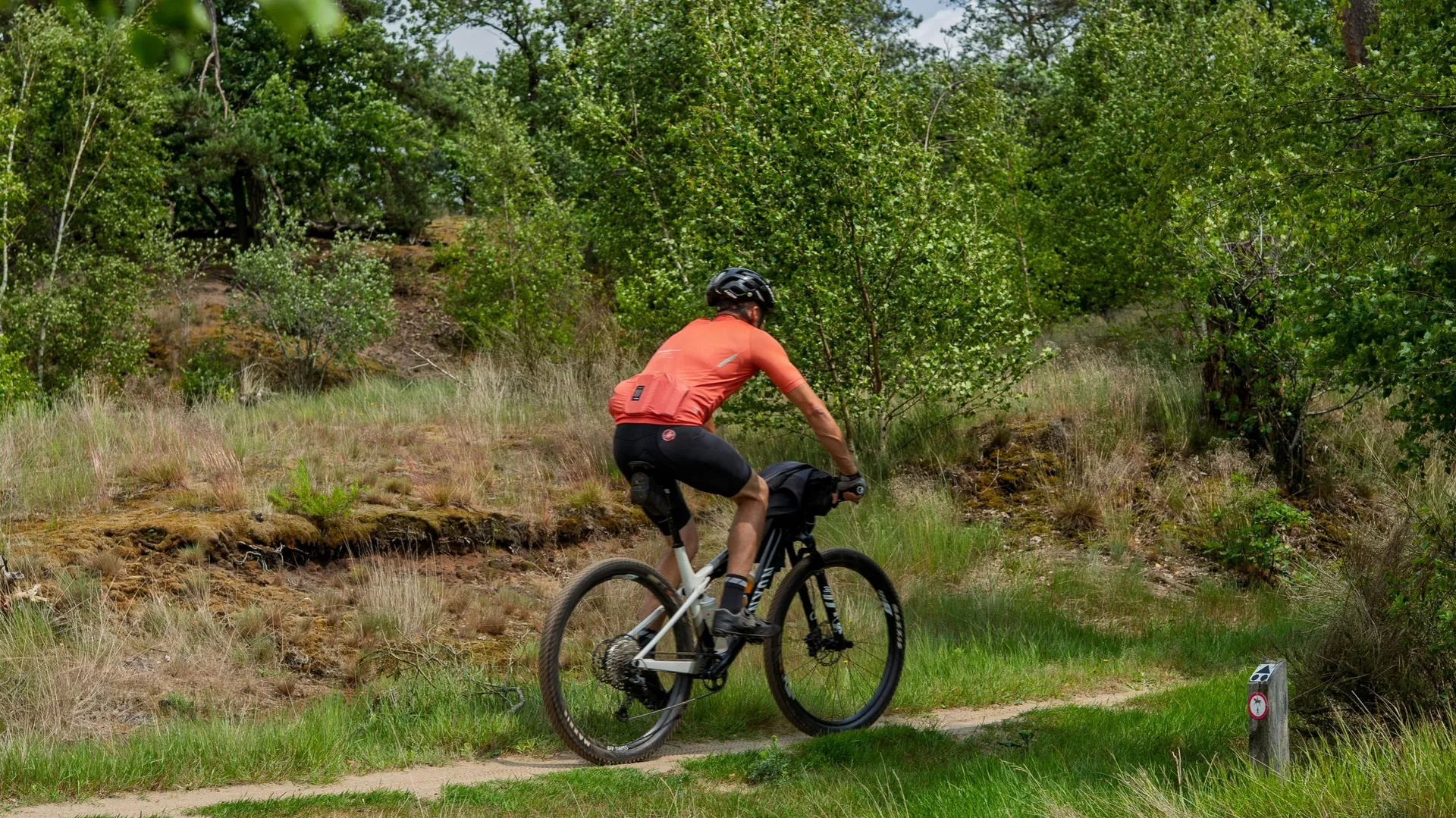 'Moi, j’ai de la chance' : Valentine de The Voice Kids chante pour Viva for Life - RTBF Actus