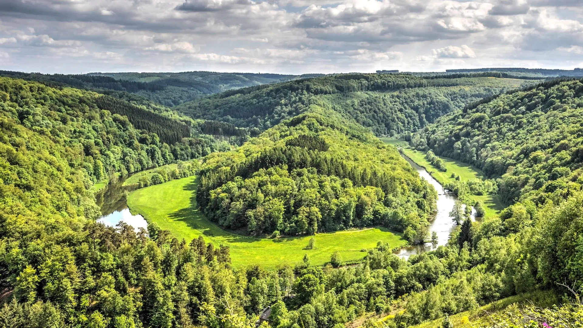 Bruxelles, capitale internationale de la bande dessinée - RTBF Actus