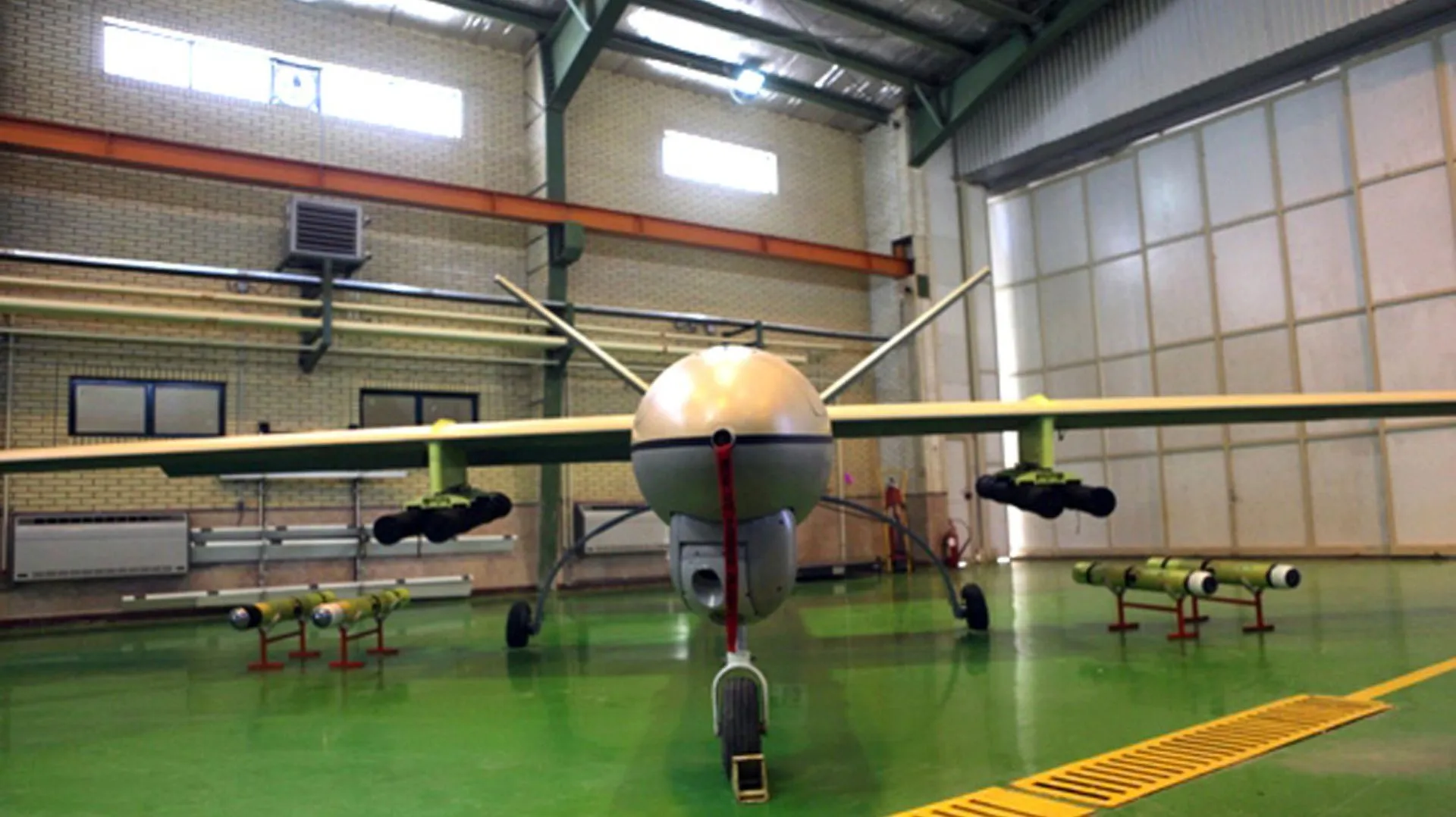 USA : transformer des oiseaux empaillés en drones pour l’espionnage ...