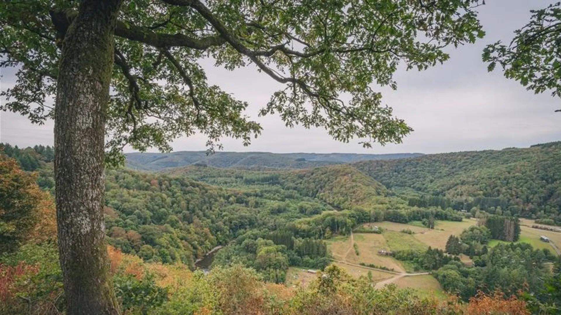 La Vallée de la Semois, l’évasion grandeur nature au sud de la Belgique ...