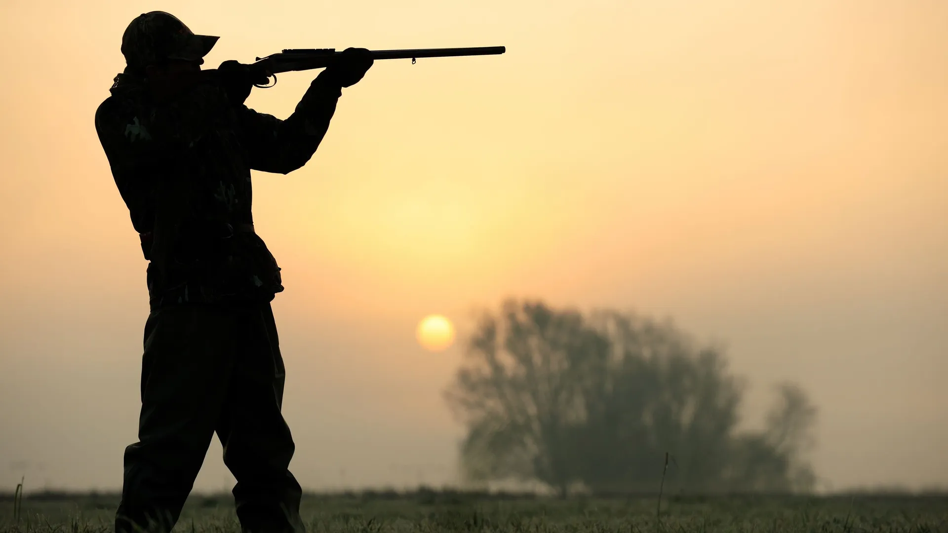 La chasse de plus en plus populaire en Wallonie : un rôle social envers ...
