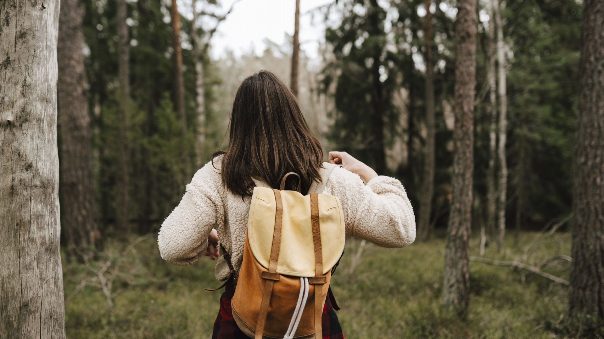 Marcher dans la nature diminue l’anxiété grâce au plaisir qu’elle ...