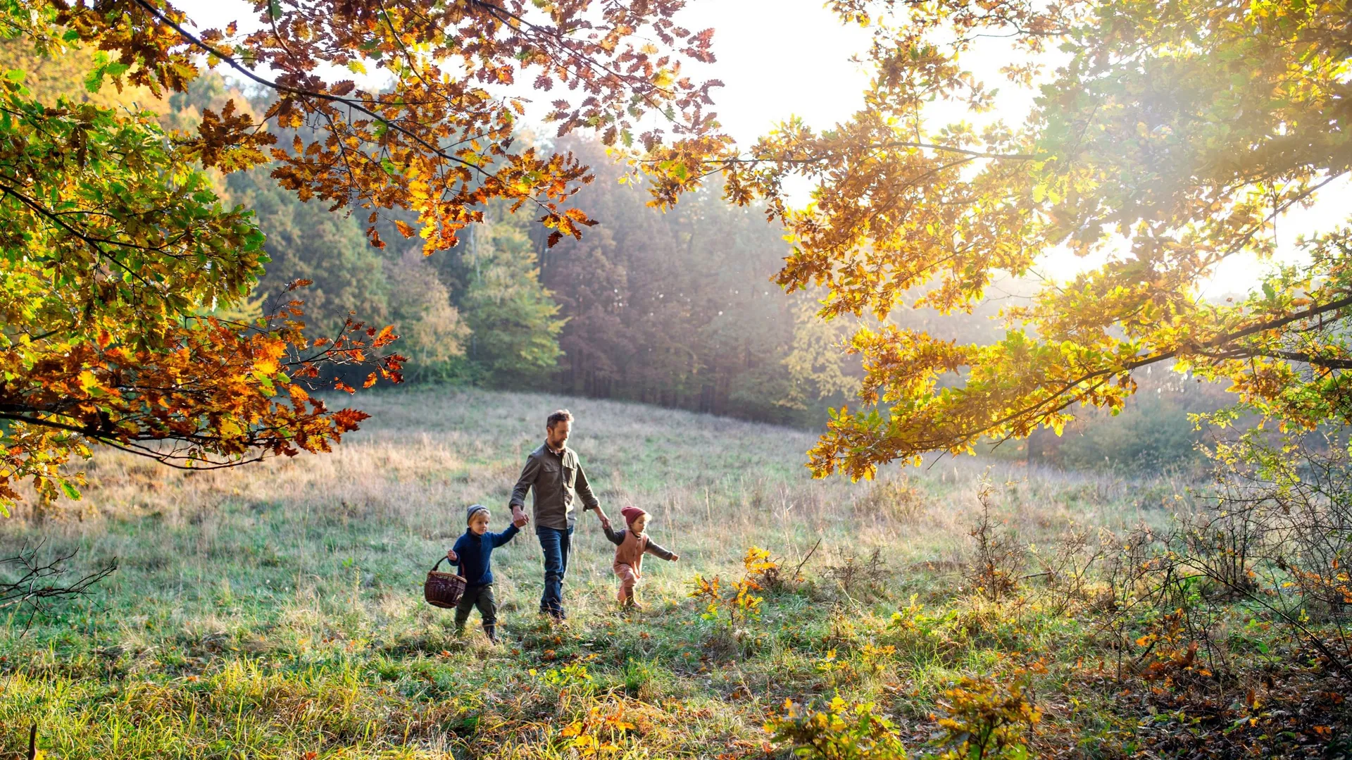 Le top des bonnes nouvelles de la semaine : 5 infos positives pour se ...