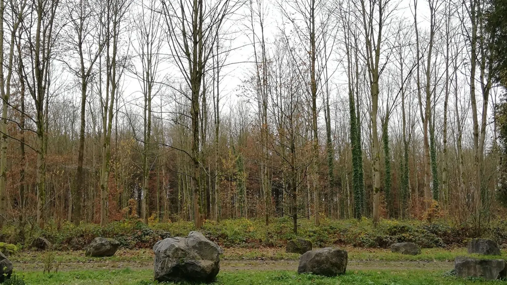 Les 6 marches Adeps du dimanche 7 décembre en Wallonie - RTBF Actus