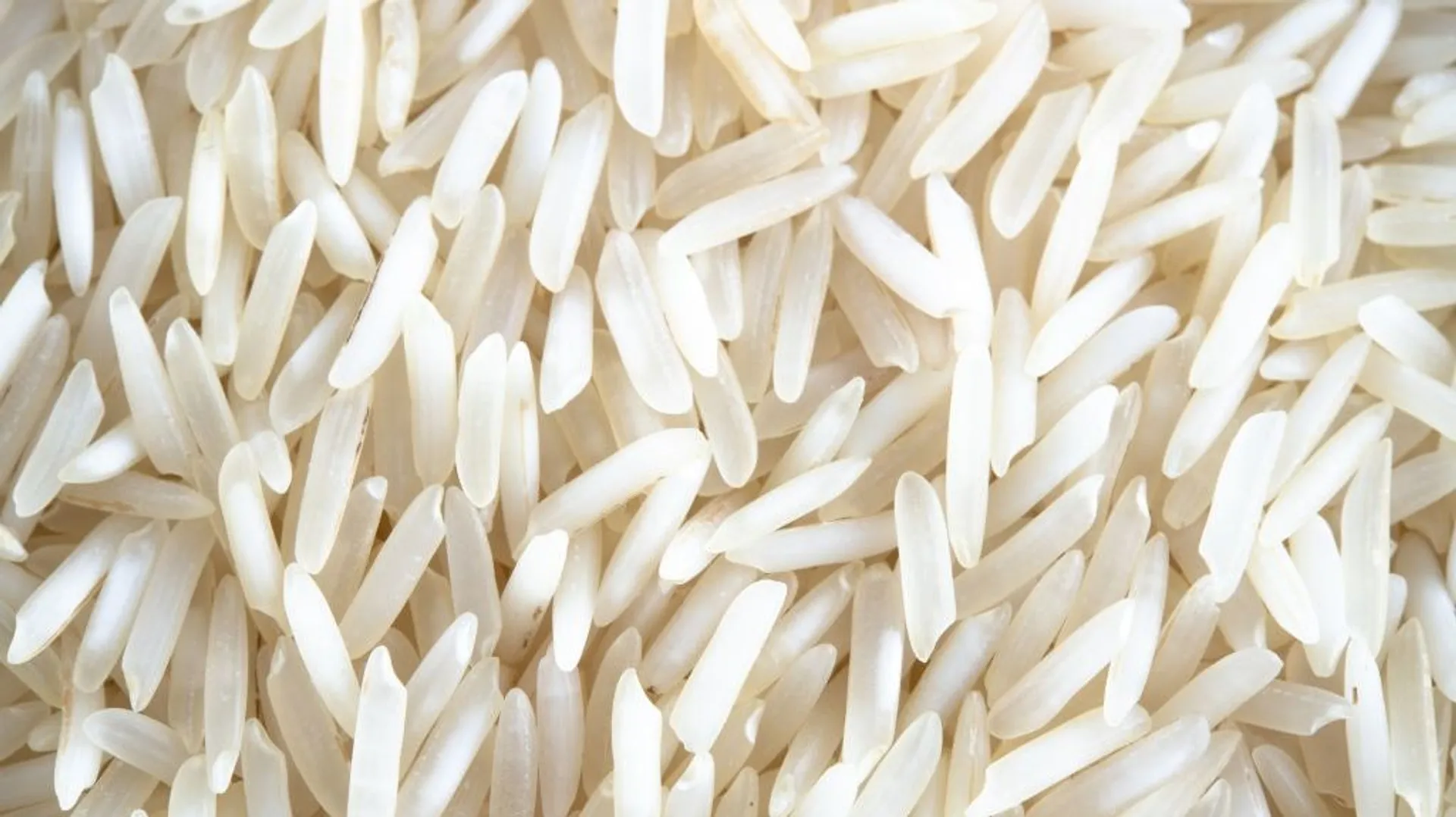 L'Inde interdit l'exportation de riz blanc non basmati - RTBF Actus