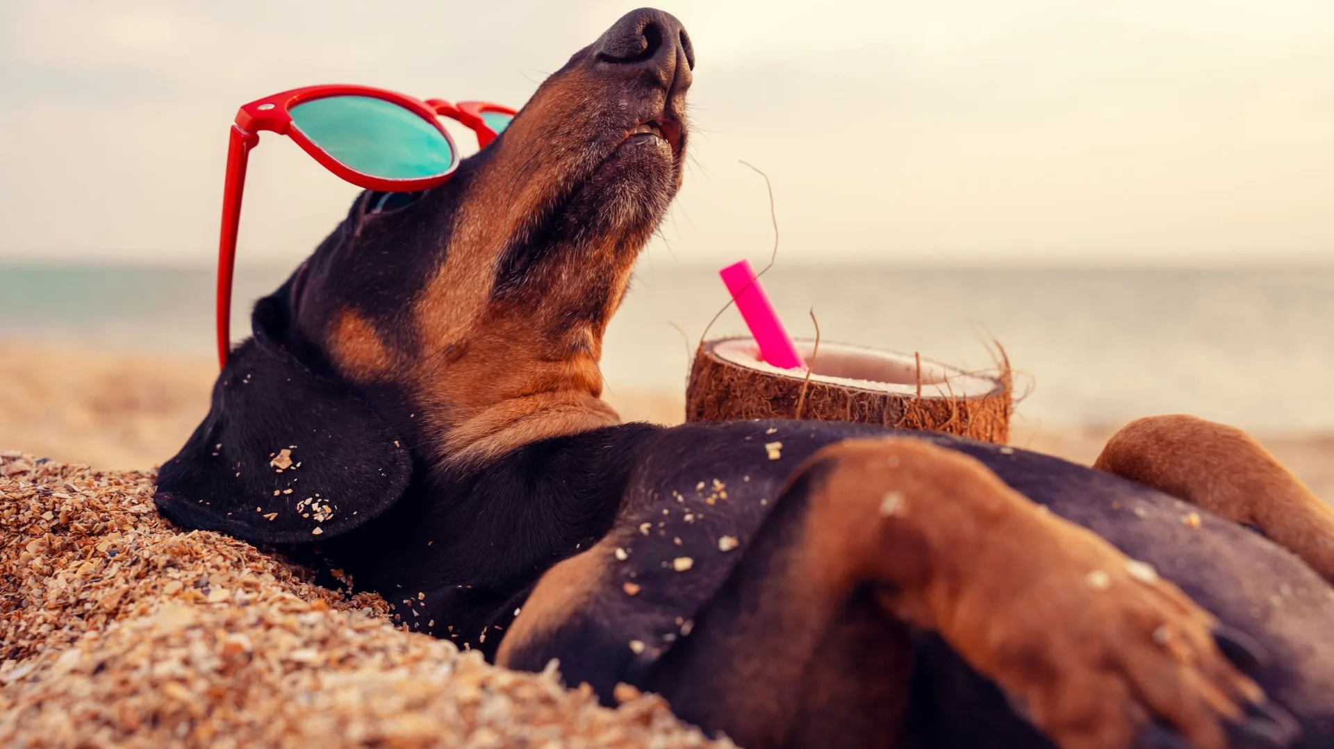 Le top des bonnes nouvelles de la semaine : les infos positives ...