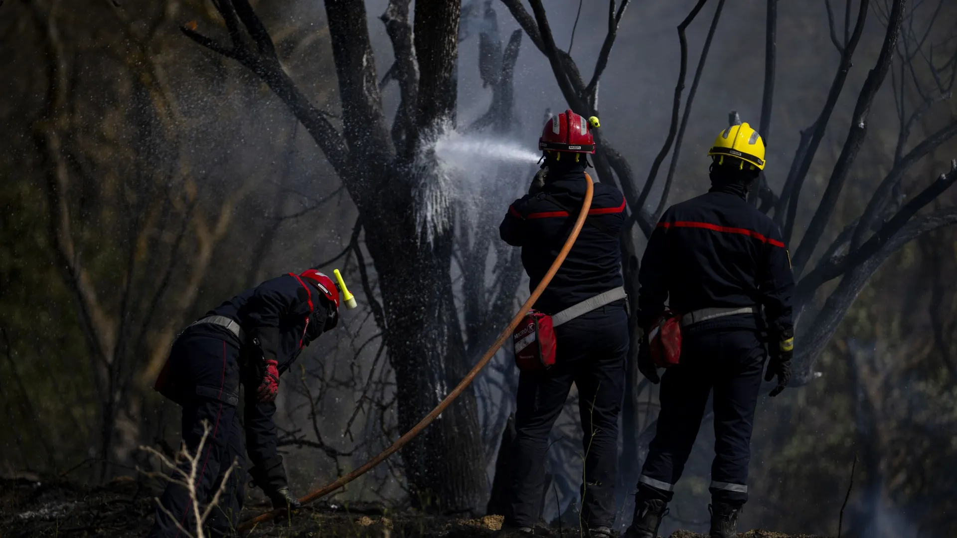 Incendie dans l’Aude en France : le feu est maîtrisé, mais les pompiers luttent toujours - RTBF ...