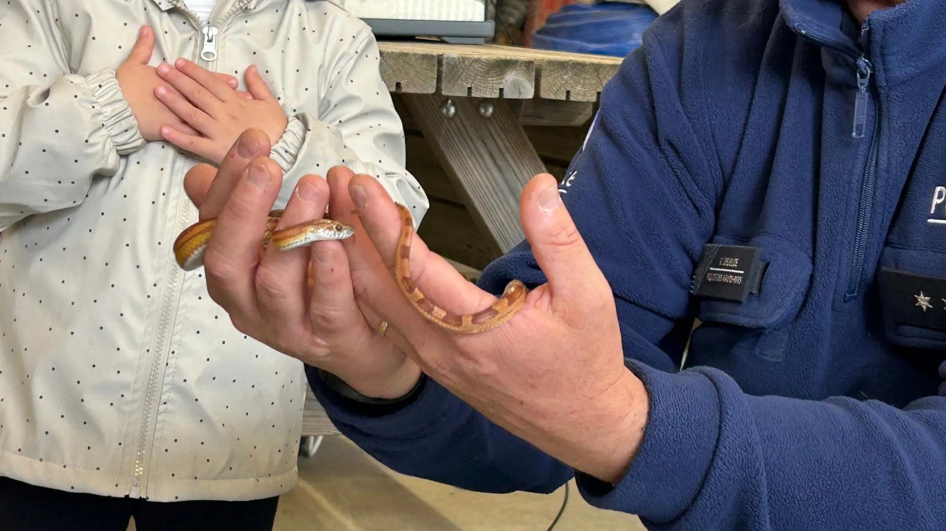 Dour : 30 enfants jouent au gendarme et au voleur, presque pour de vrai ...