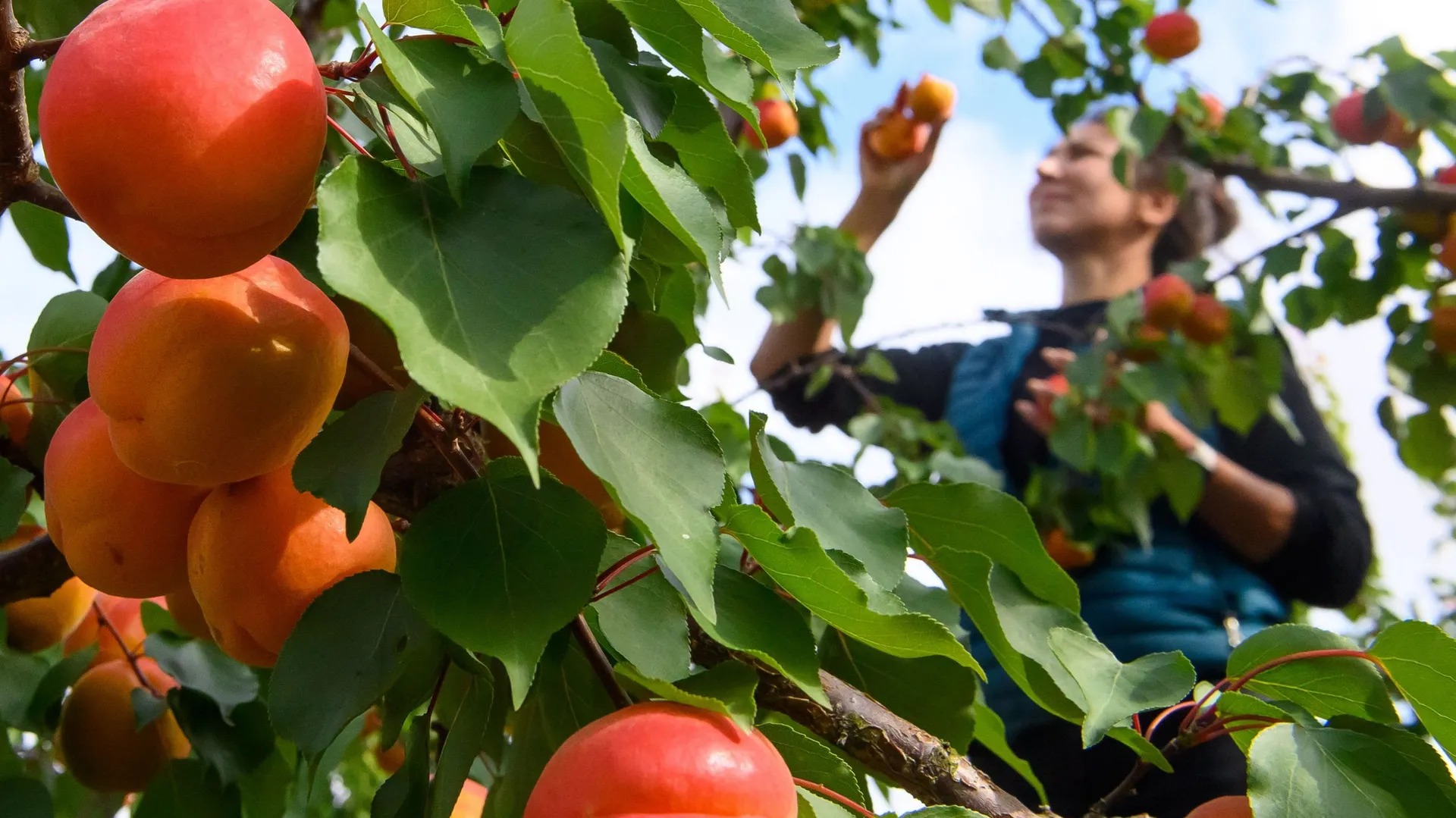 Urlocalmodel nude she was expert, explicit about